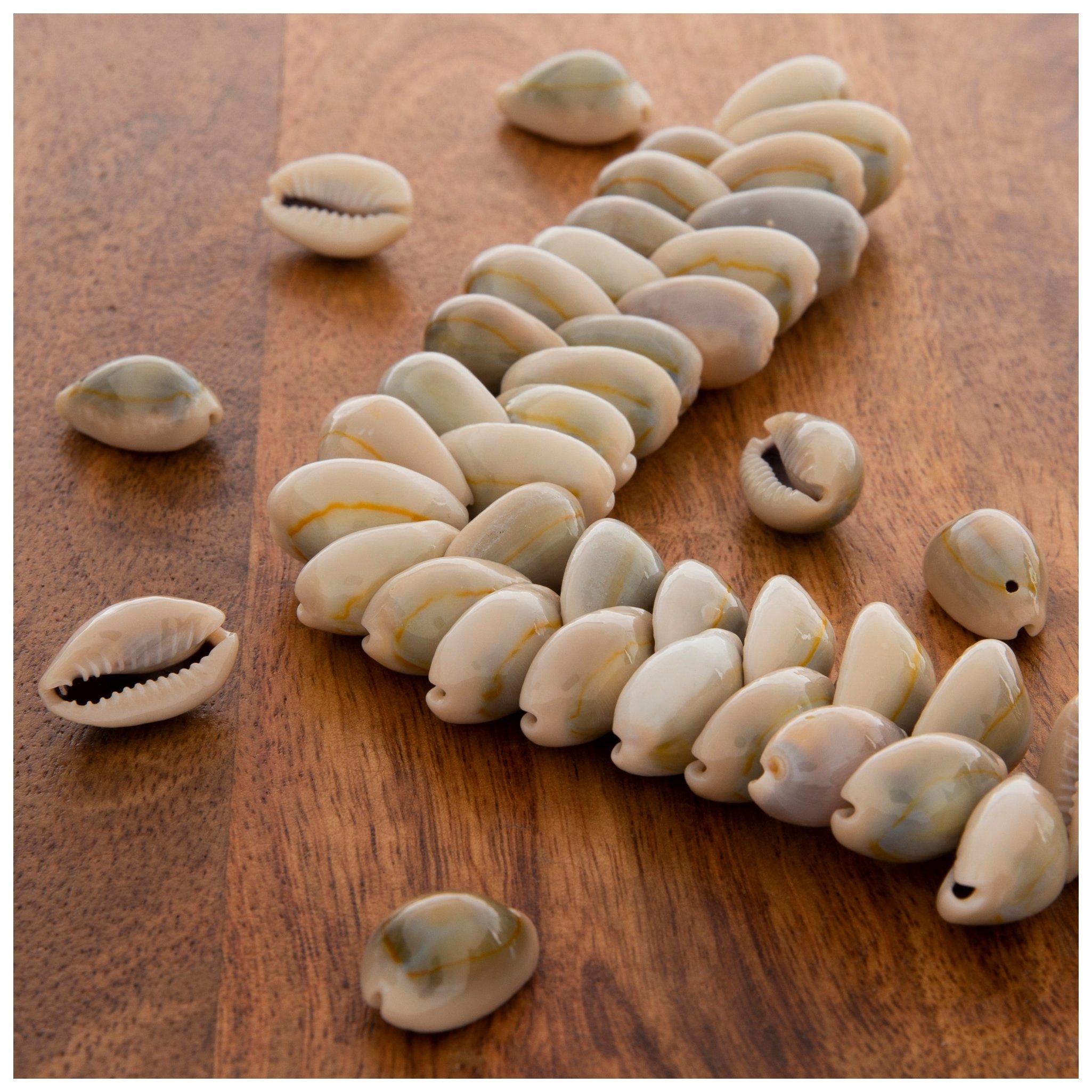 Cowrie Shell Strand | Hobby Lobby | 1580570