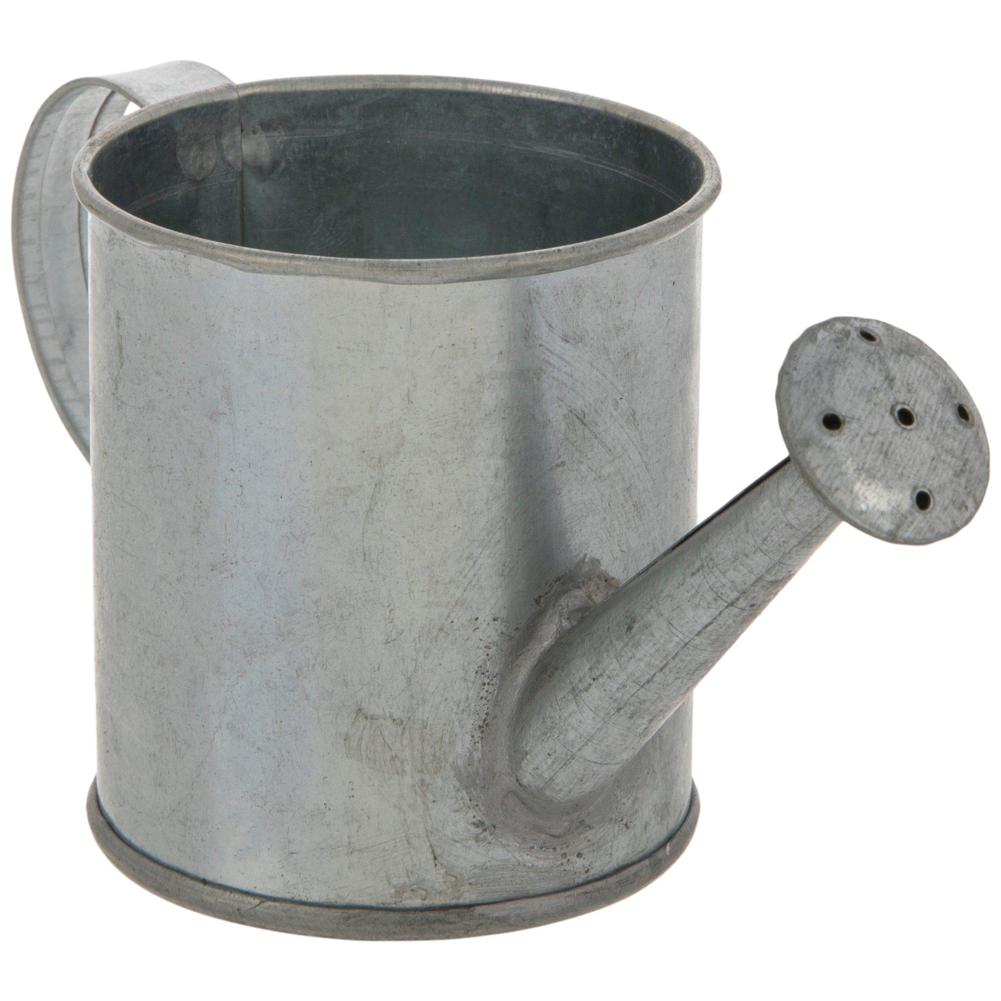 Mini Metal Watering Can | Hobby Lobby | 1607944
