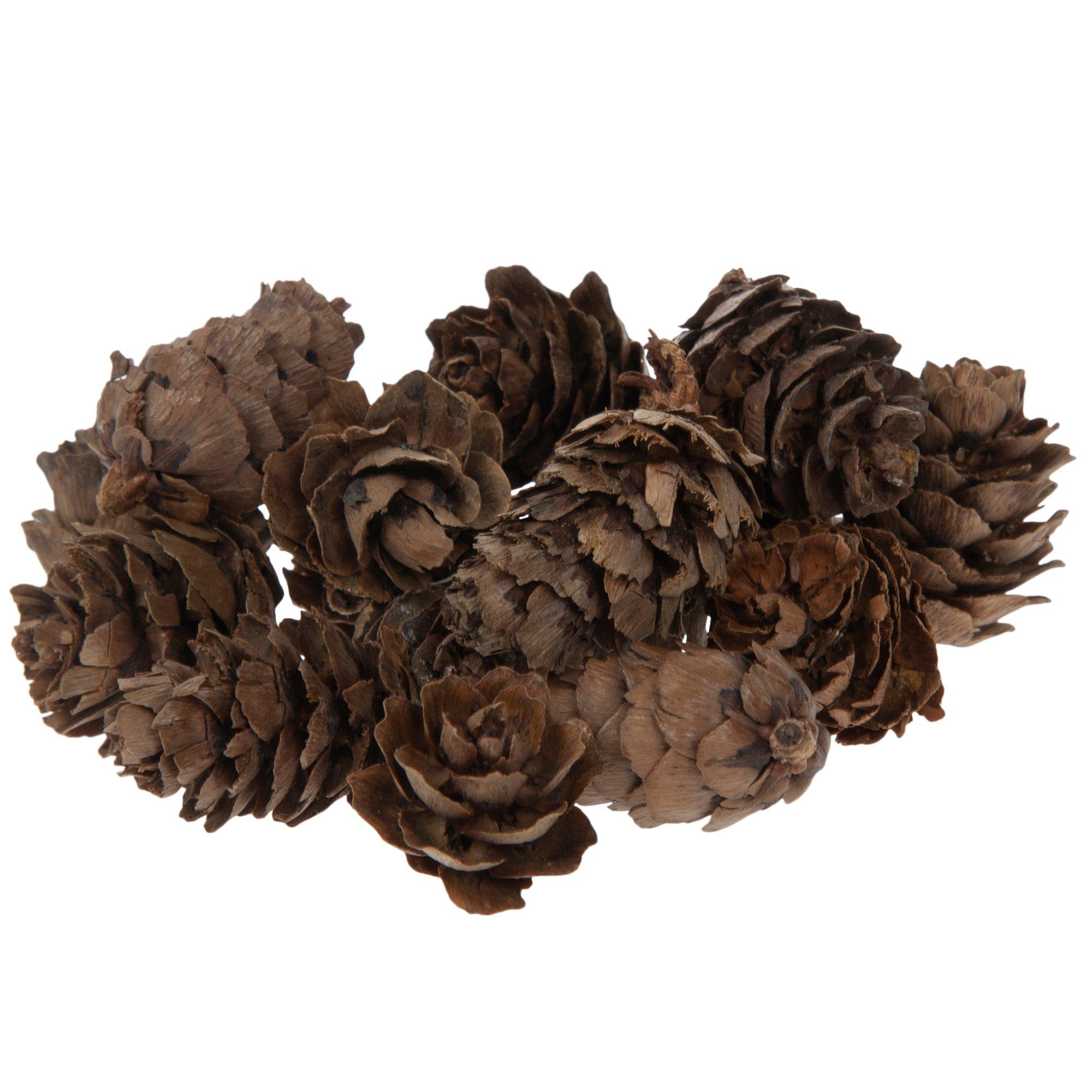 Miniature Pinecones | Hobby Lobby | 1653435