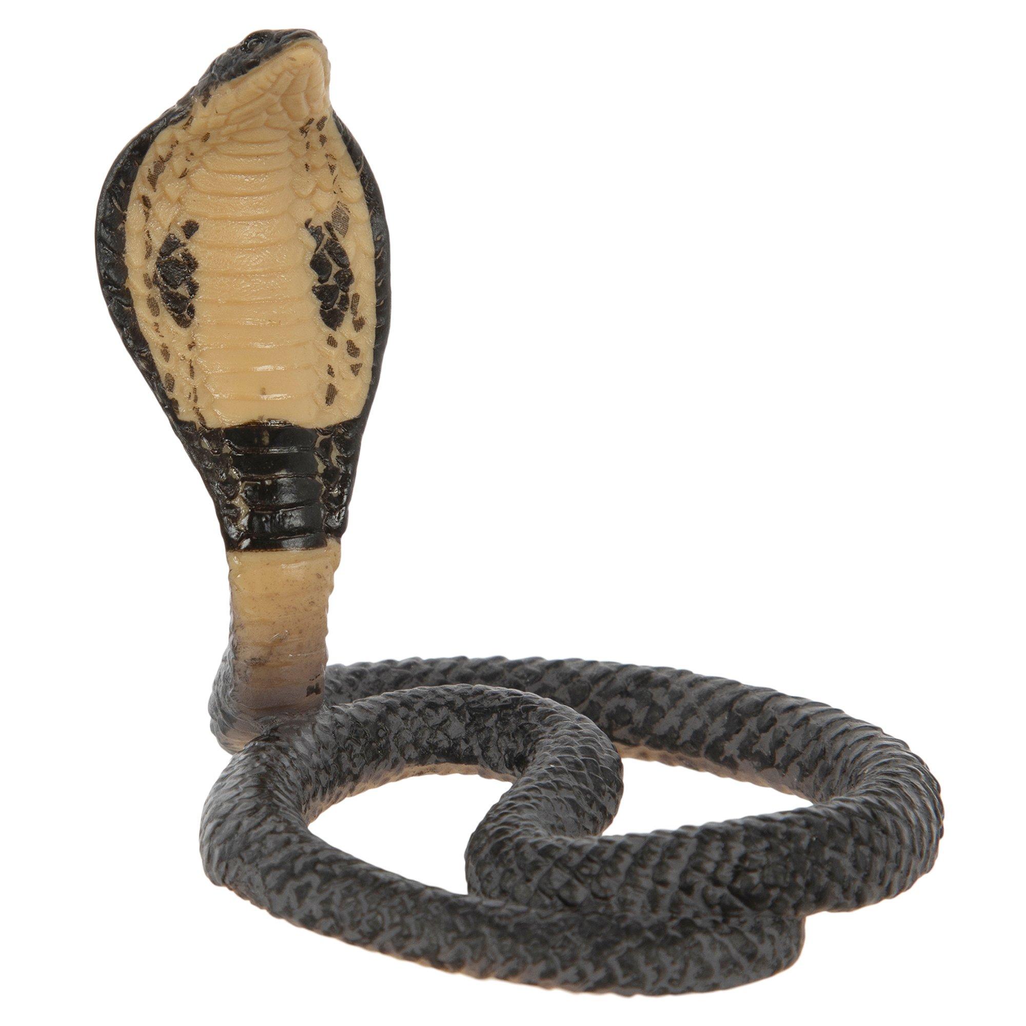 King Cobra Snake | Hobby Lobby | 1694959