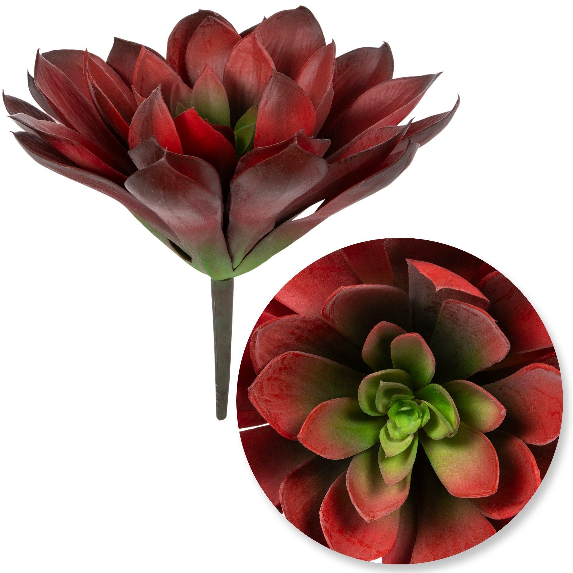 Red Agave Succulent Bush | Hobby Lobby | 1727734