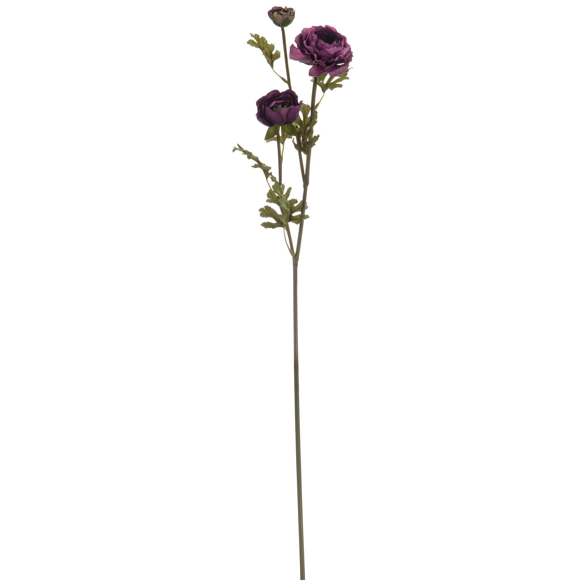 Ranunculus Stem | Hobby Lobby | 1738038