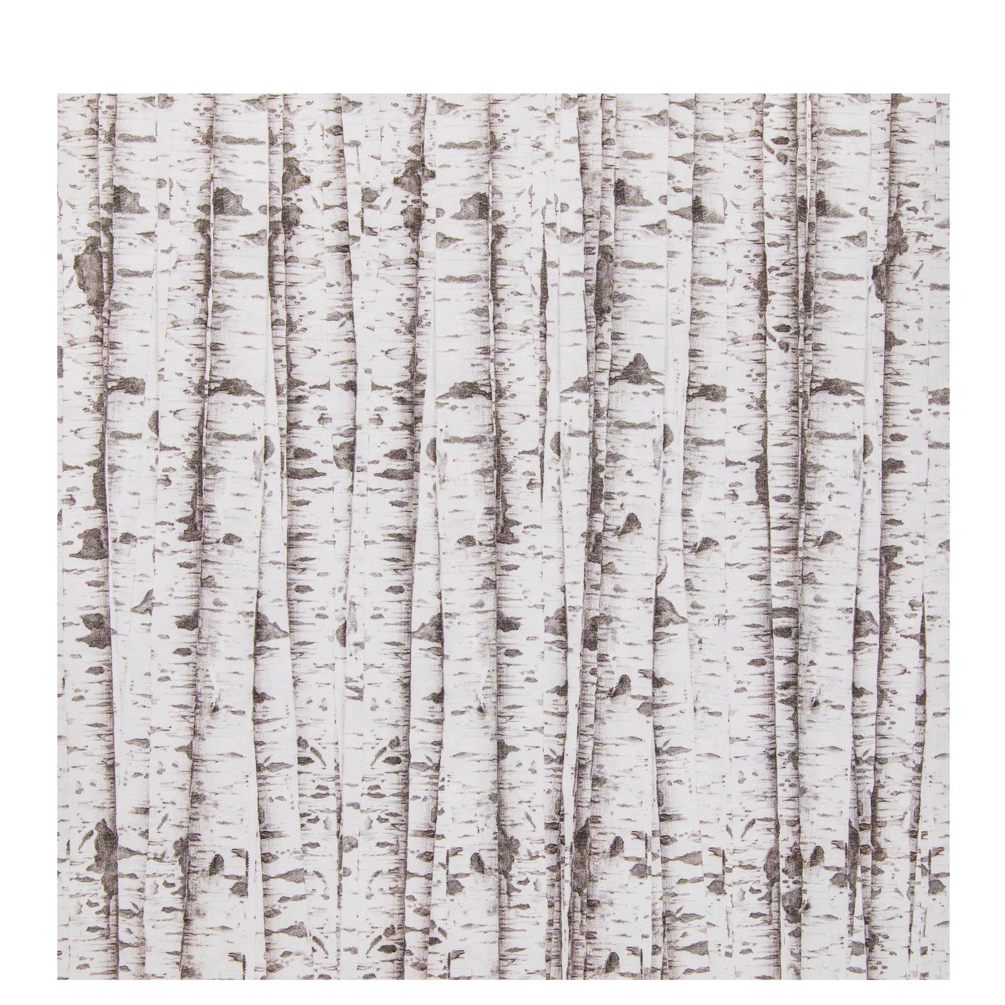 Birch Trees Scrapbook Paper - 12" x 12" | Hobby Lobby | 1739168