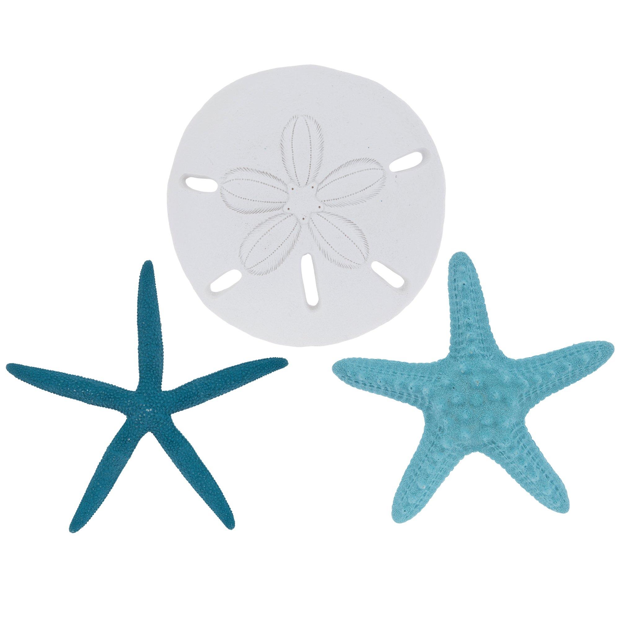 Blue Sand Dollar Clip Art
