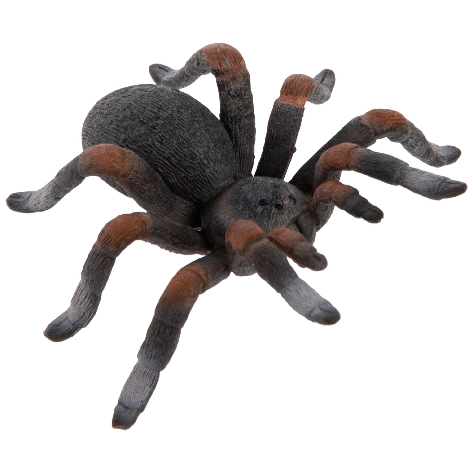 Red Kneed Tarantula | Hobby Lobby | 1846773