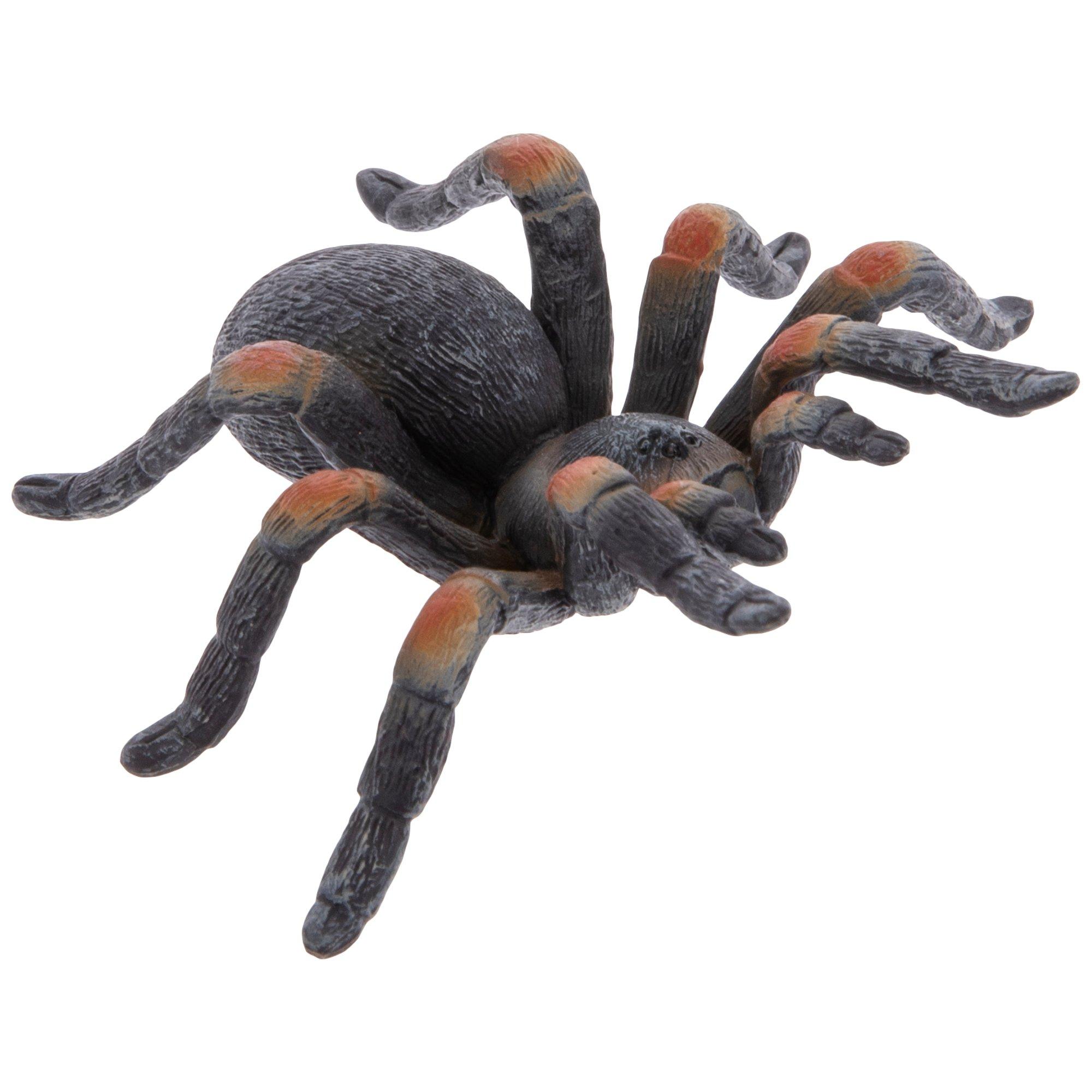 Red Kneed Tarantula | Hobby Lobby | 1846773