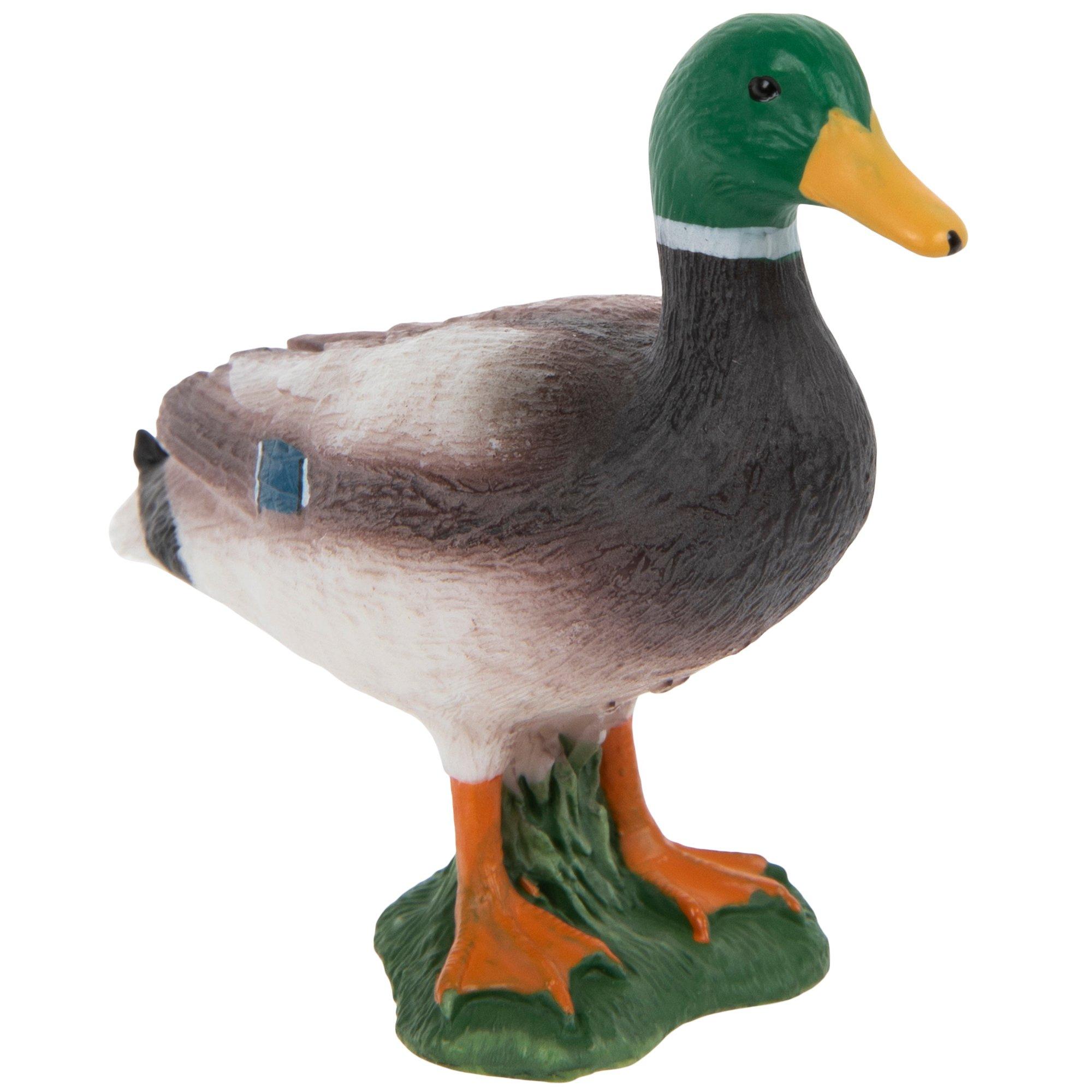 Mallard Duck | Hobby Lobby | 1846781