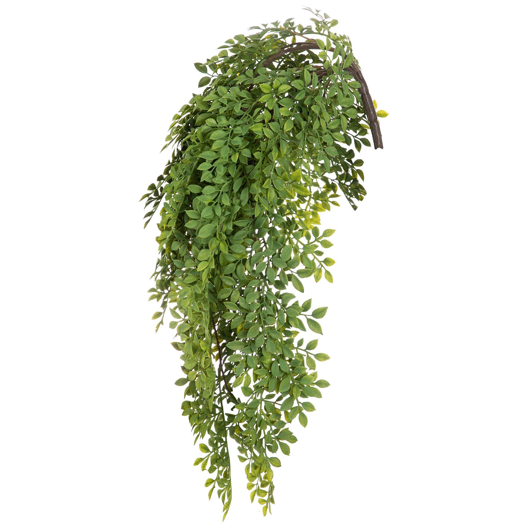 Trailing Lotus Bush | Hobby Lobby | 1891001