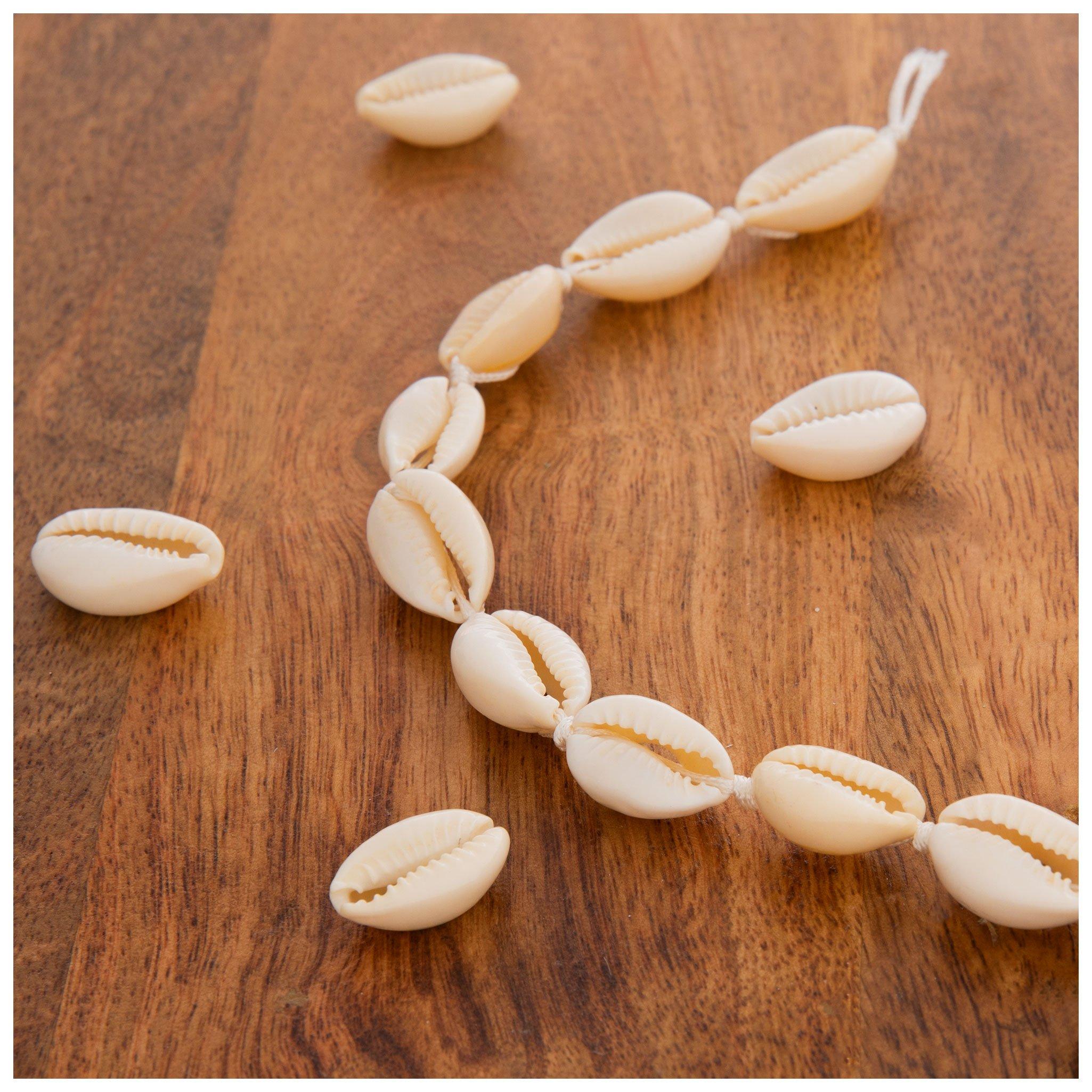 Cowrie Shell Bead Strand | Hobby Lobby | 1904259