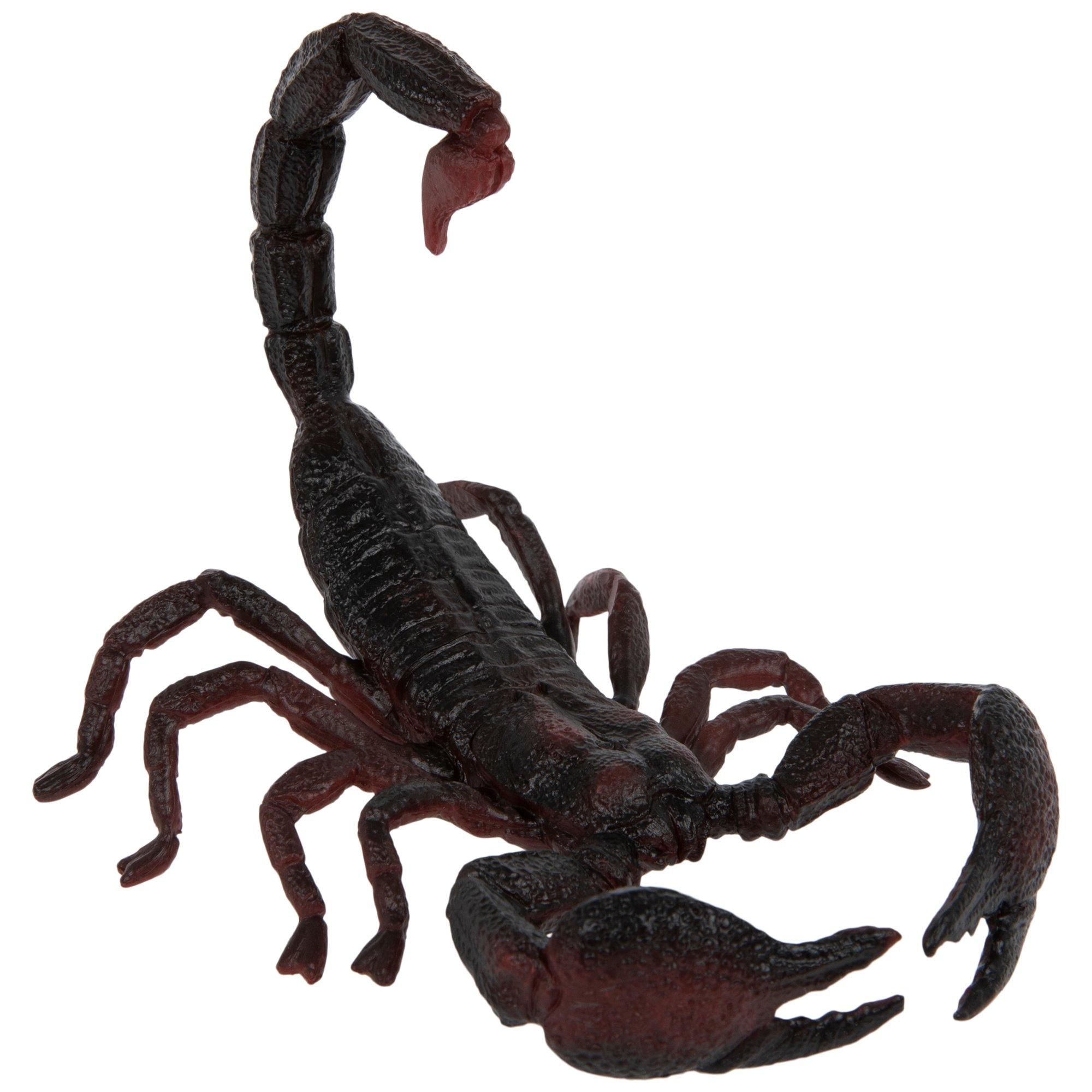 Red & Black Emperor Scorpion | Hobby Lobby | 1926047