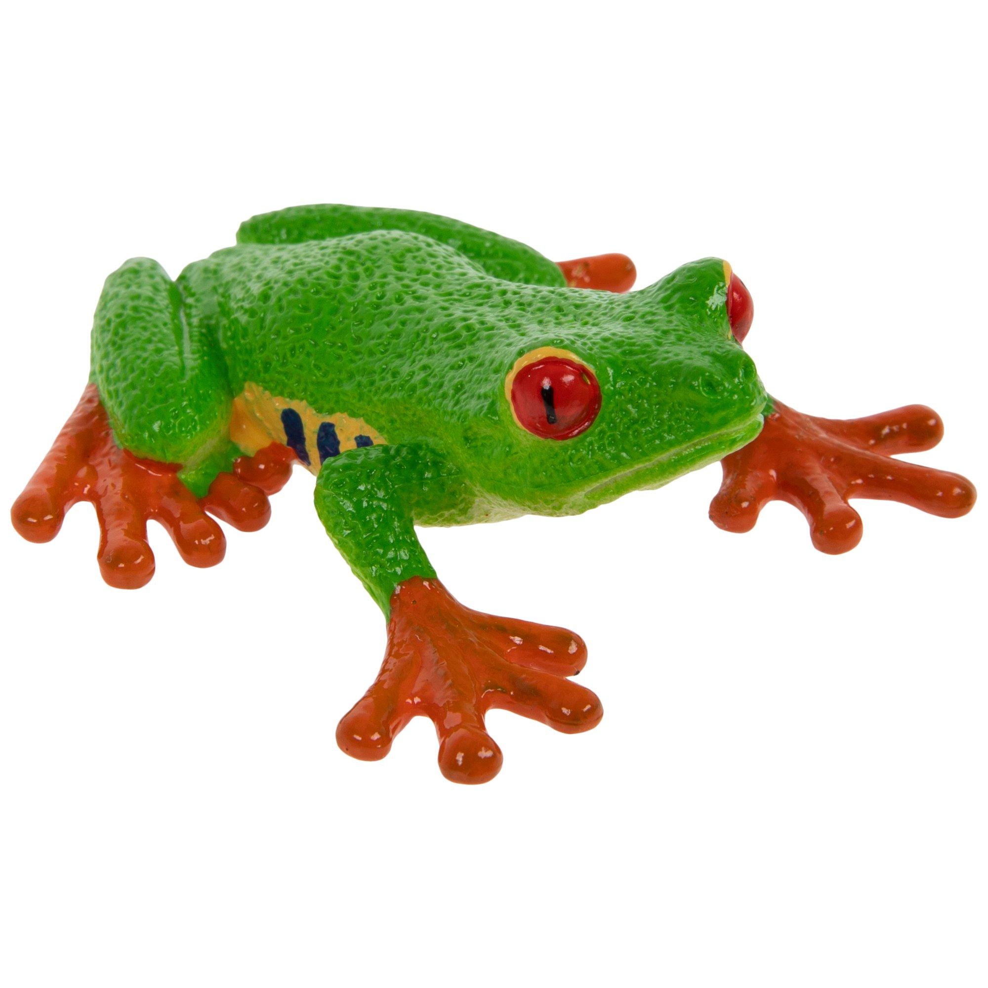 Red Eyed Tree Frog | Hobby Lobby | 1926062
