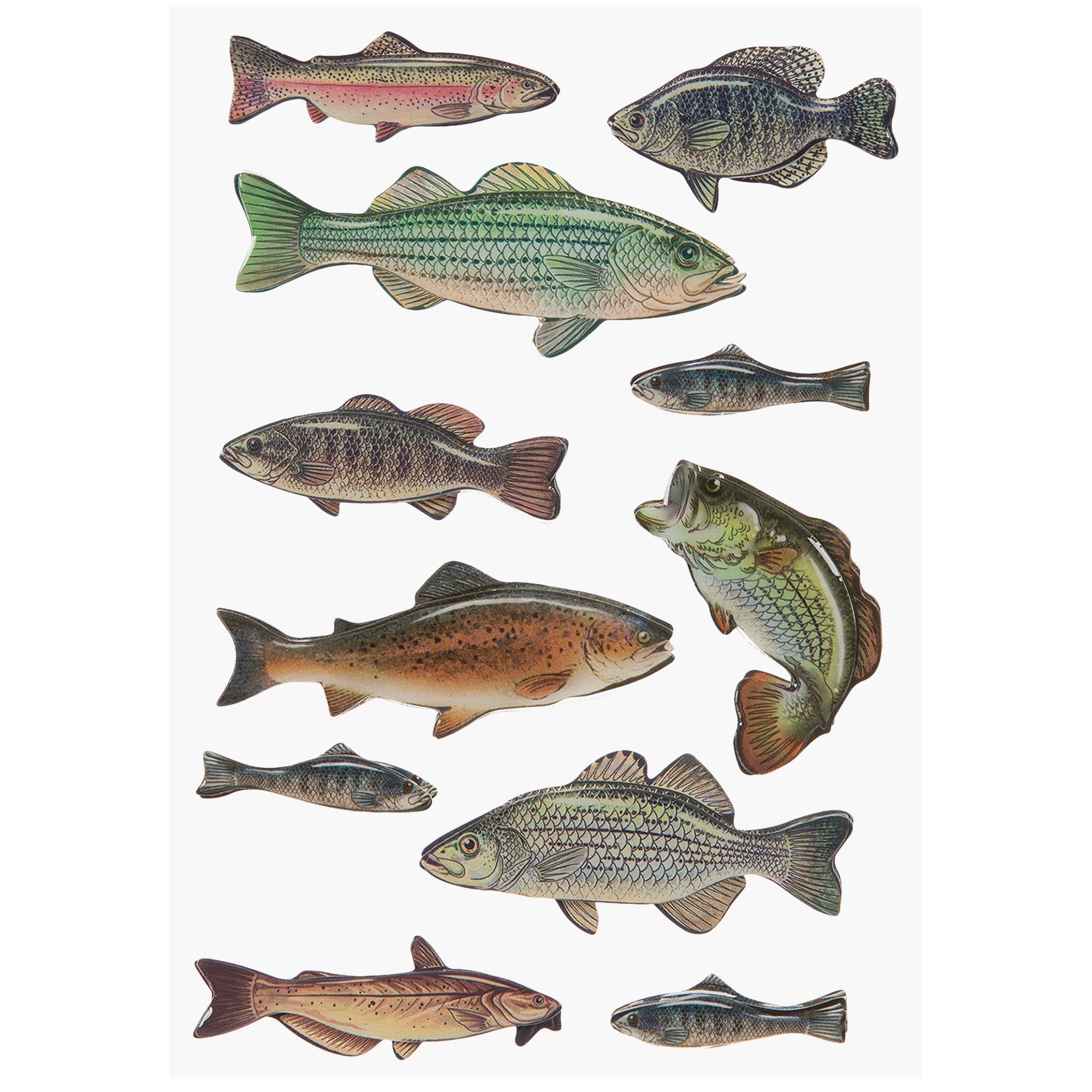 River Fish 3D Stickers | Hobby Lobby | 1994060