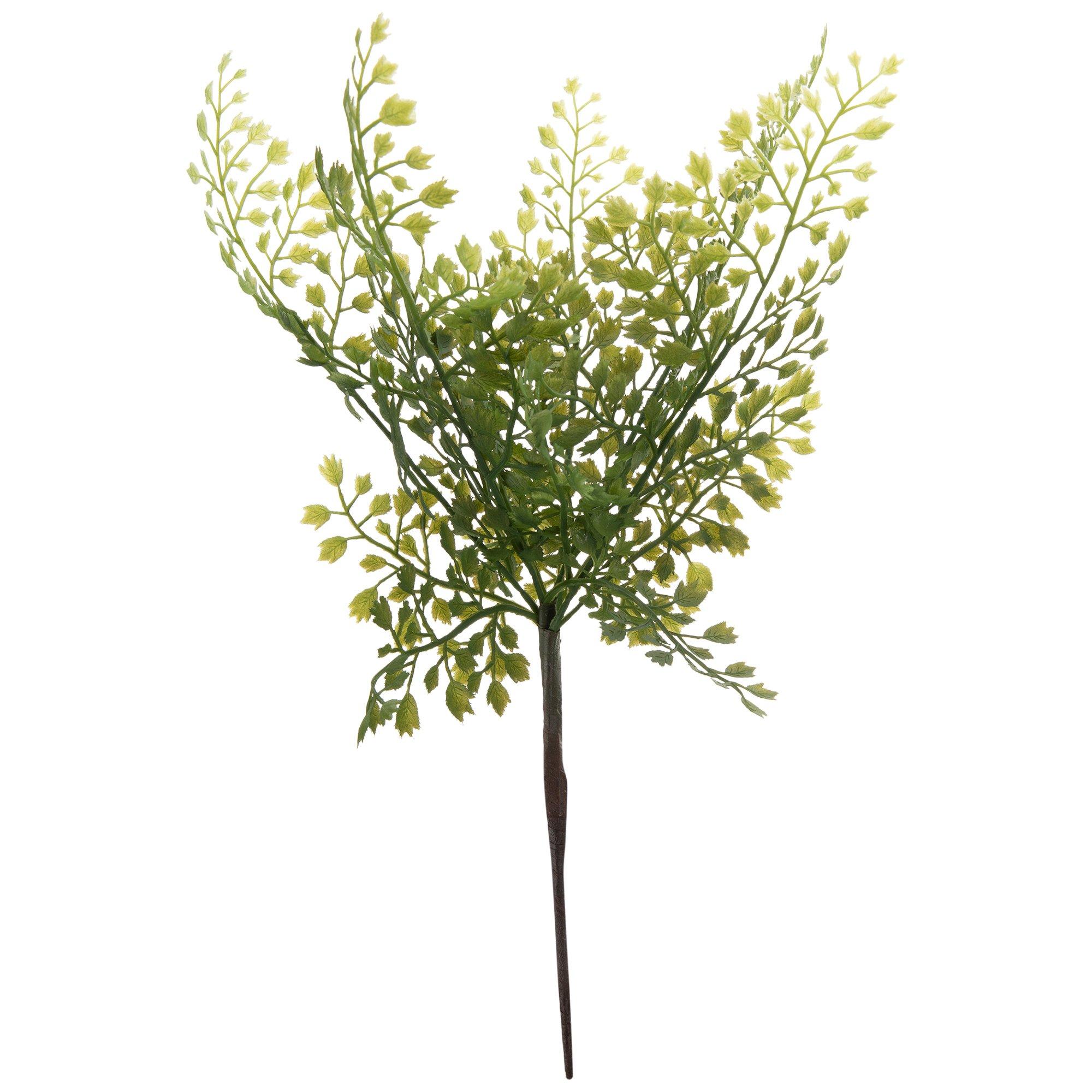Maidenhair Fern Pick | Hobby Lobby | 2011138