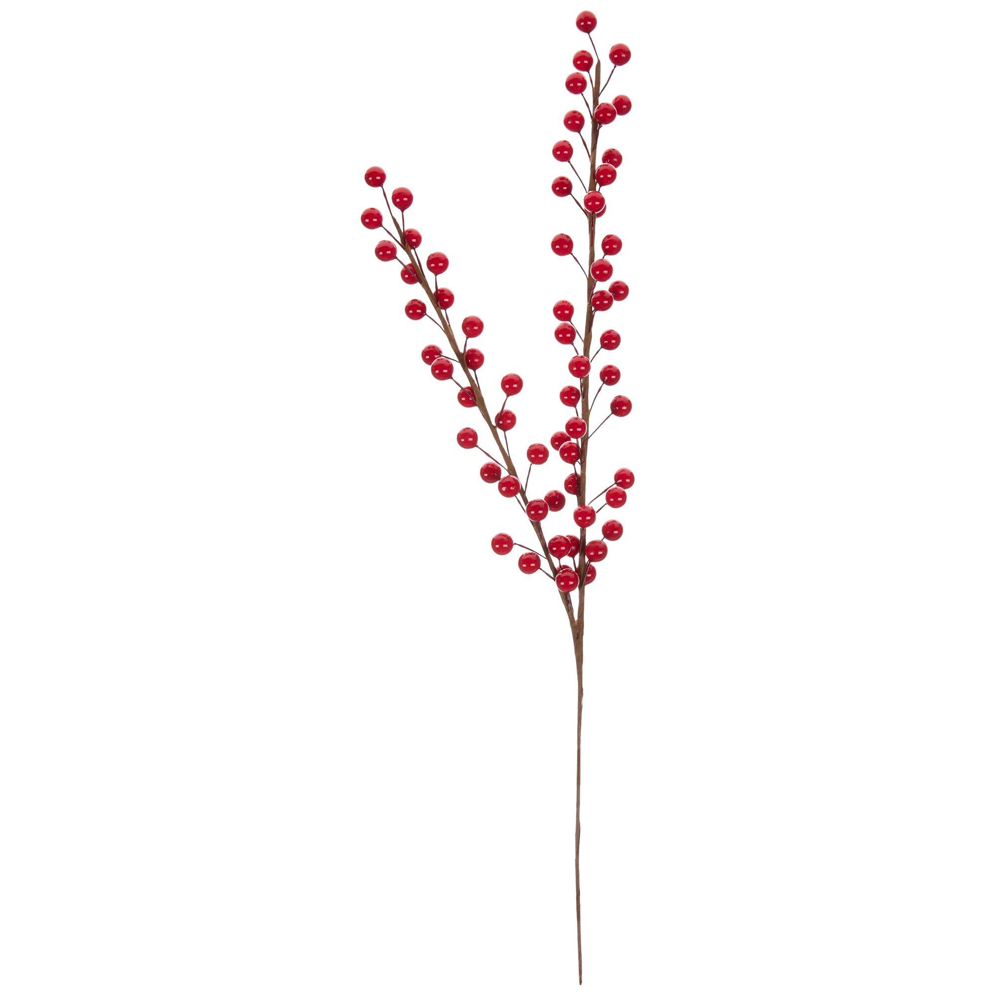 Berry Pick | Hobby Lobby | 2014355