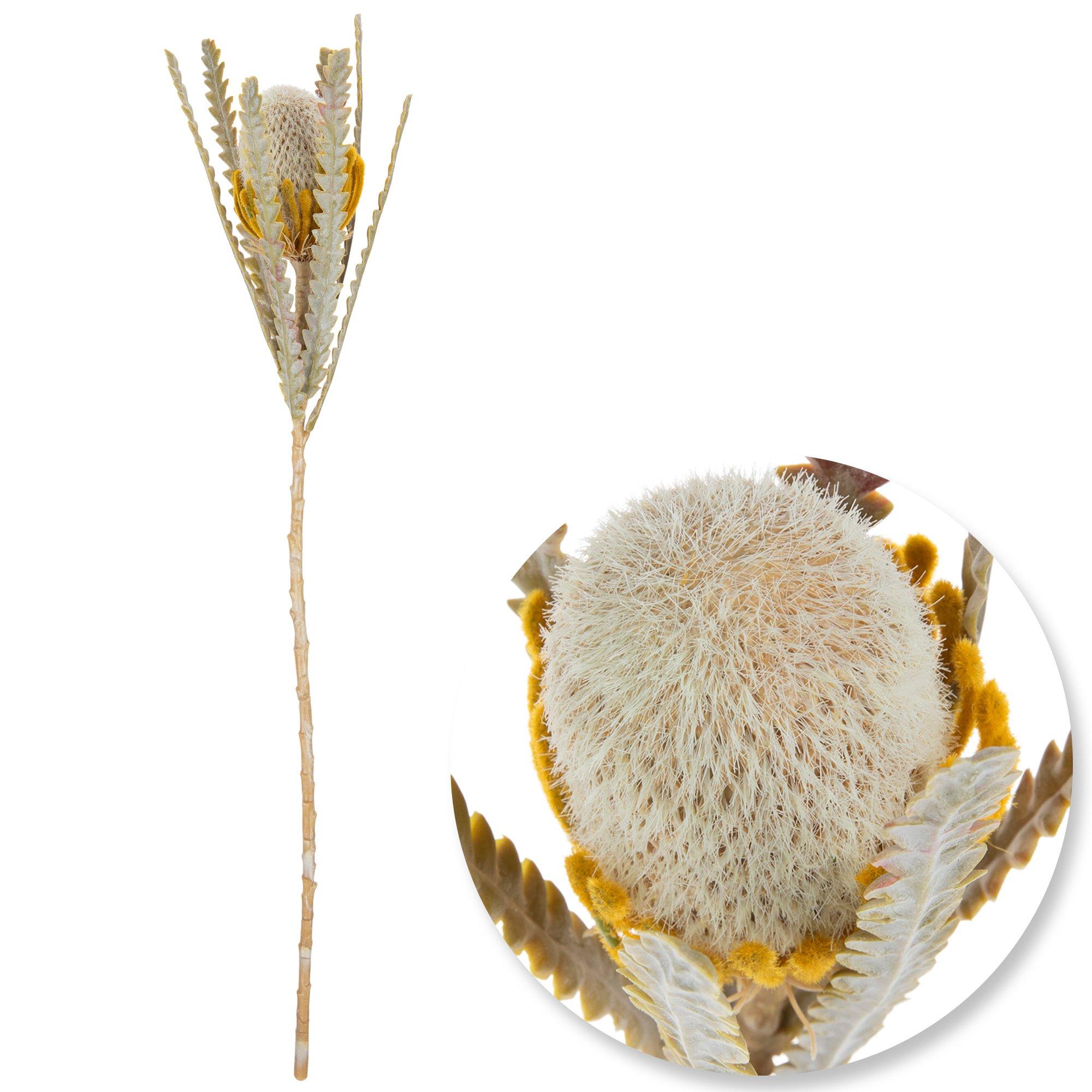 Cream Protea Stem | Hobby Lobby | 2016426