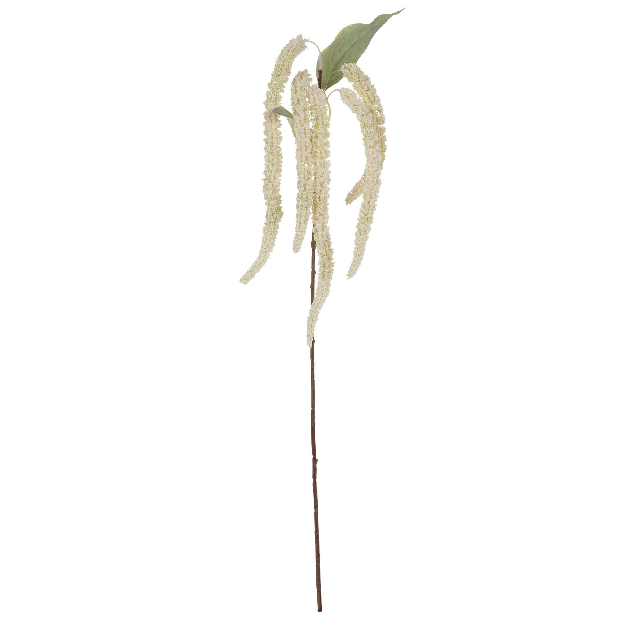 Amaranthus Stem | Hobby Lobby | 2016475