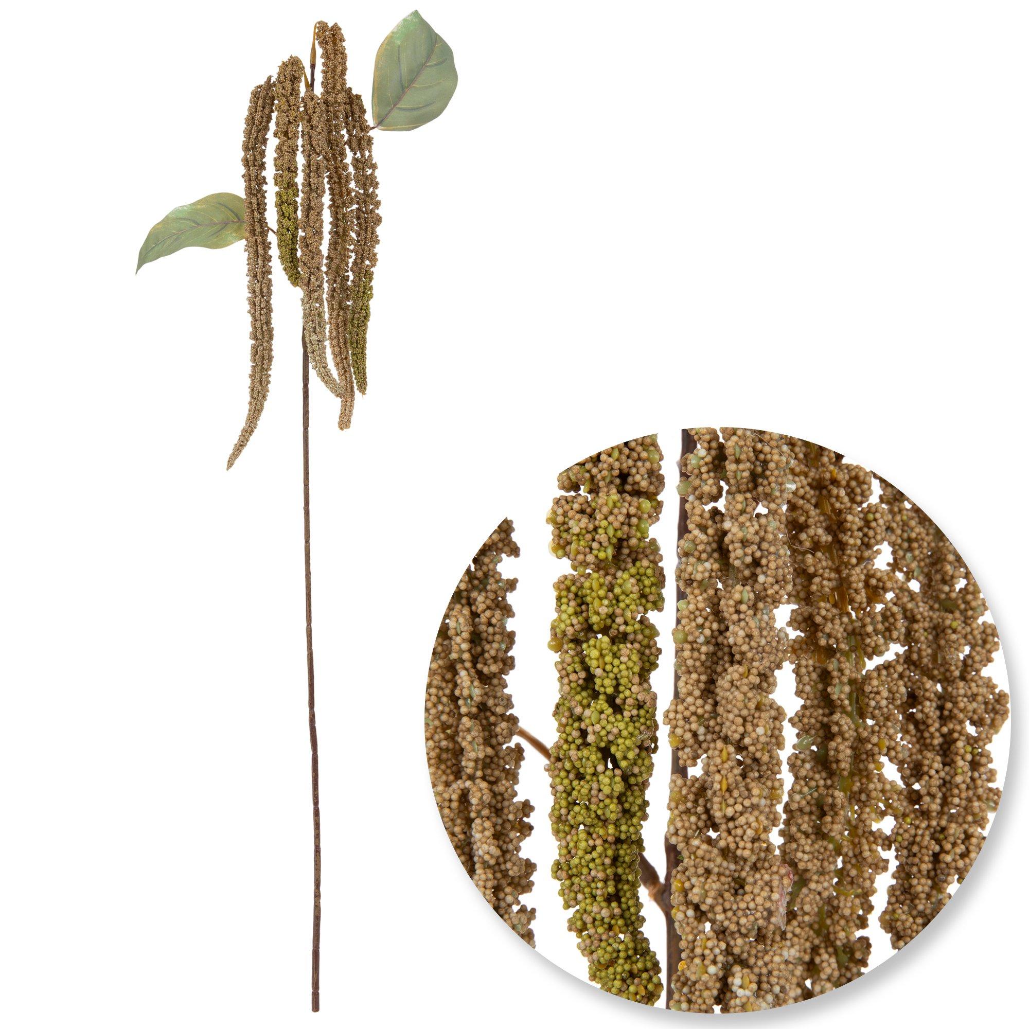 Amaranthus Stem | Hobby Lobby | 2016491