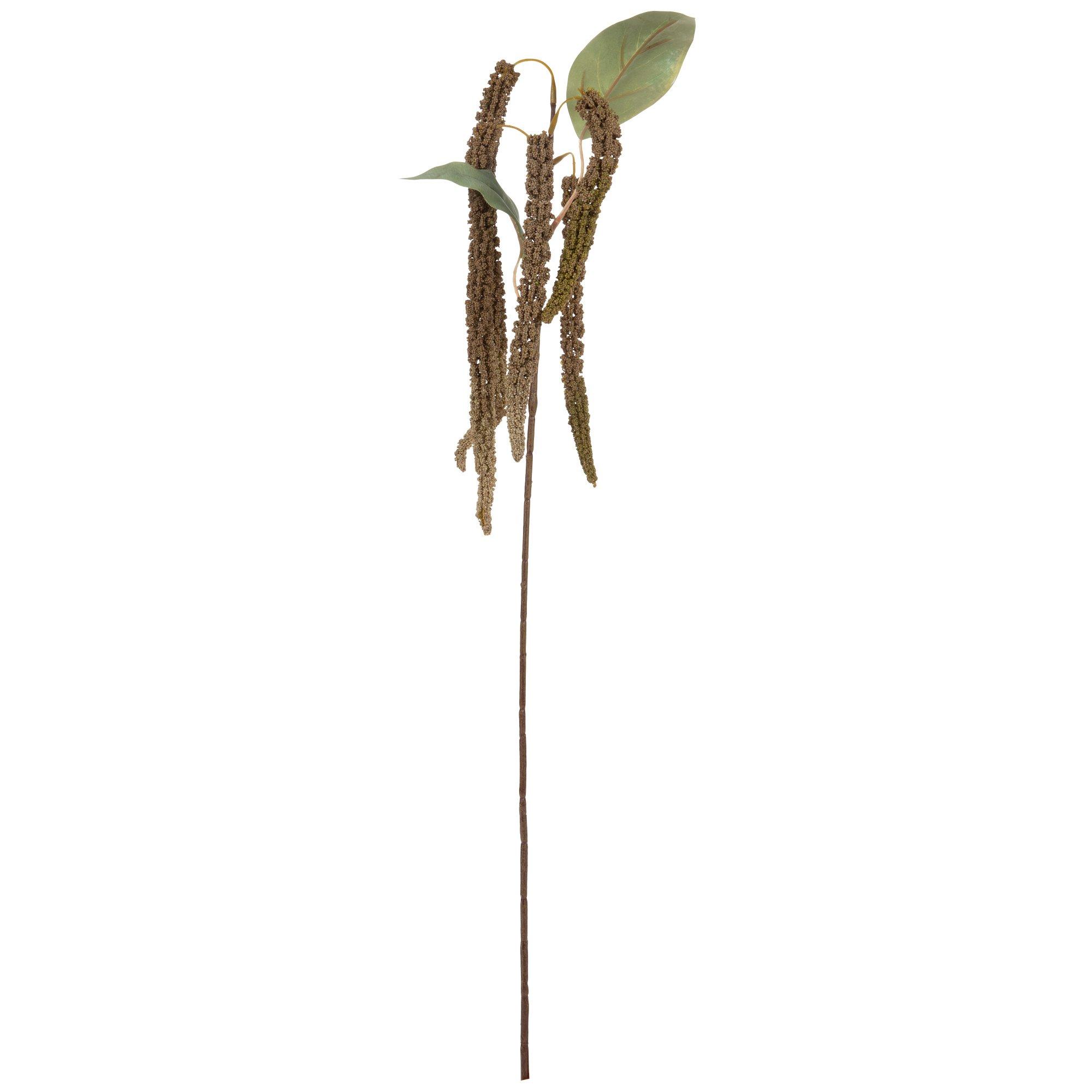 Amaranthus Stem | Hobby Lobby | 2016491