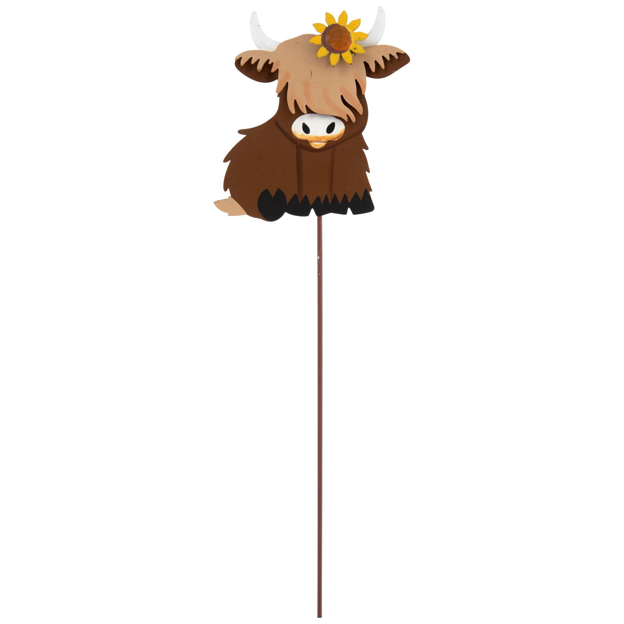 Highland Cow