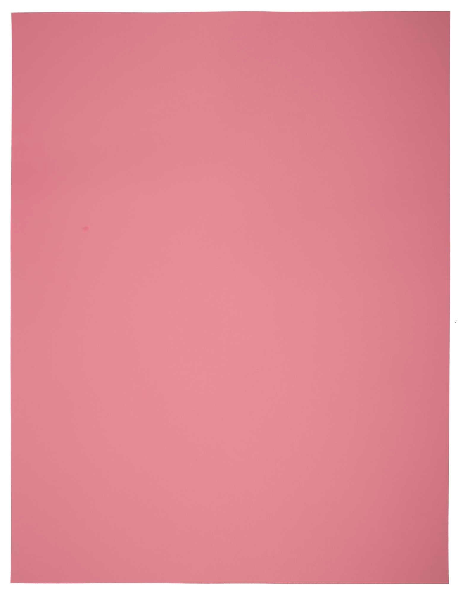 Light Pink Poster Board