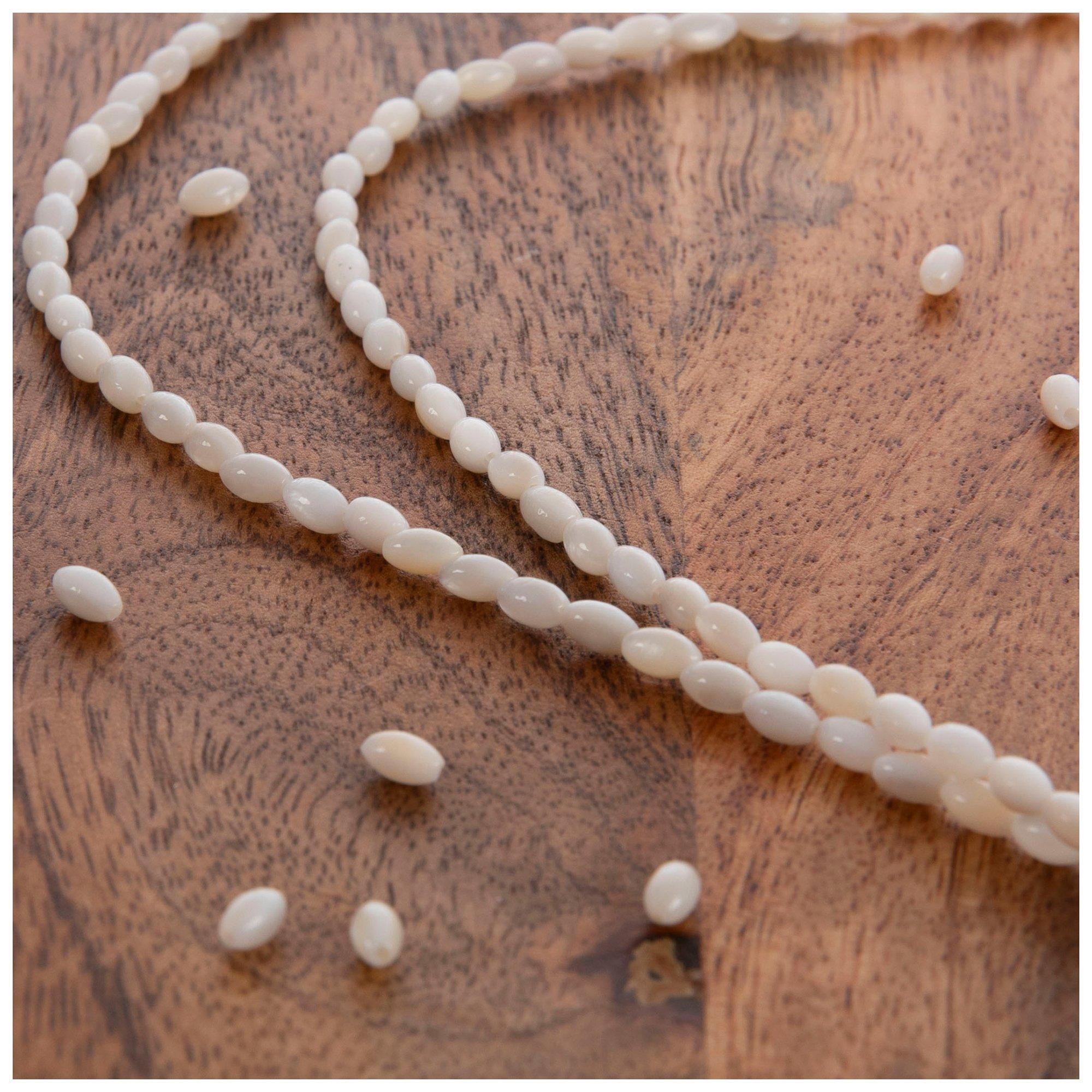 Dyed Shell Bead Strands | Hobby Lobby | 2272714