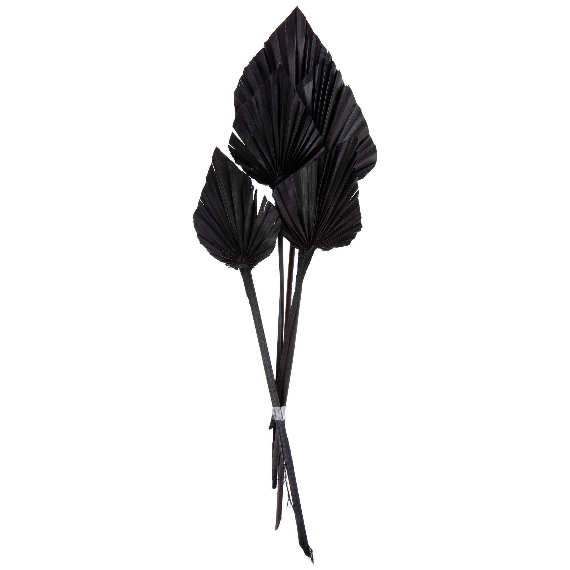 Black Palm Spears | Hobby Lobby | 2276202
