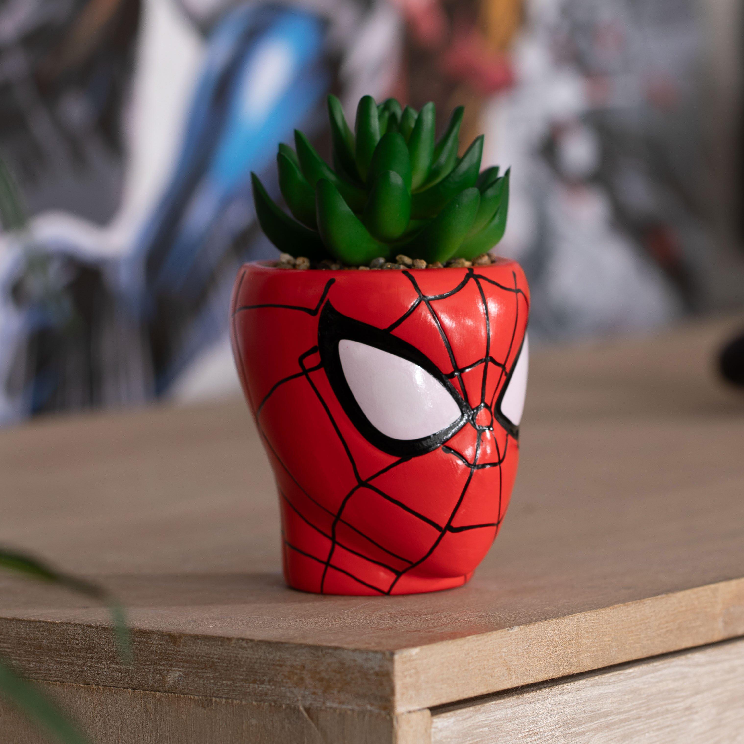 Succulent In Spider-Man Pot | Hobby Lobby | 2291649
