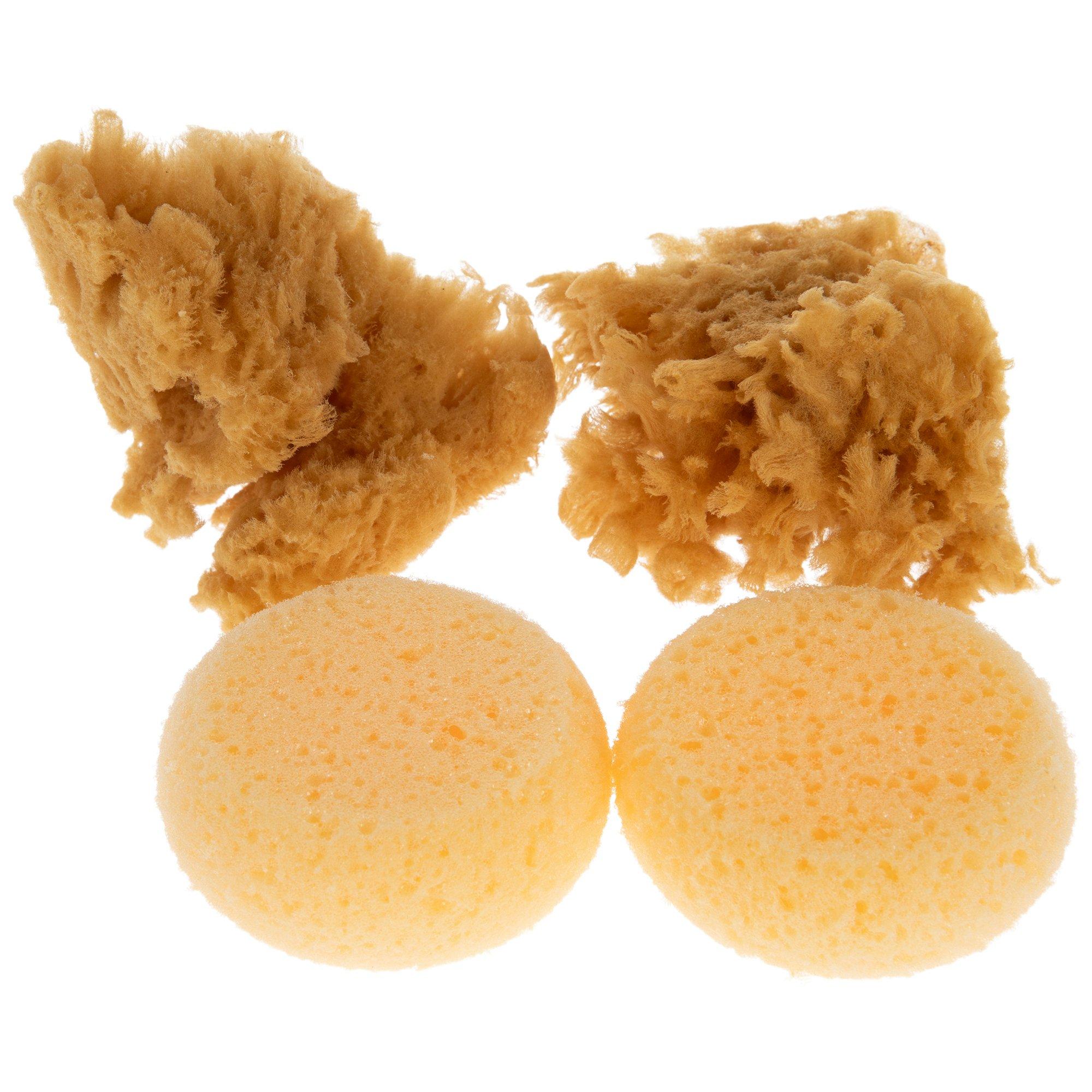 Artist Natural & Synthetic Sponges | Hobby Lobby | 2323970