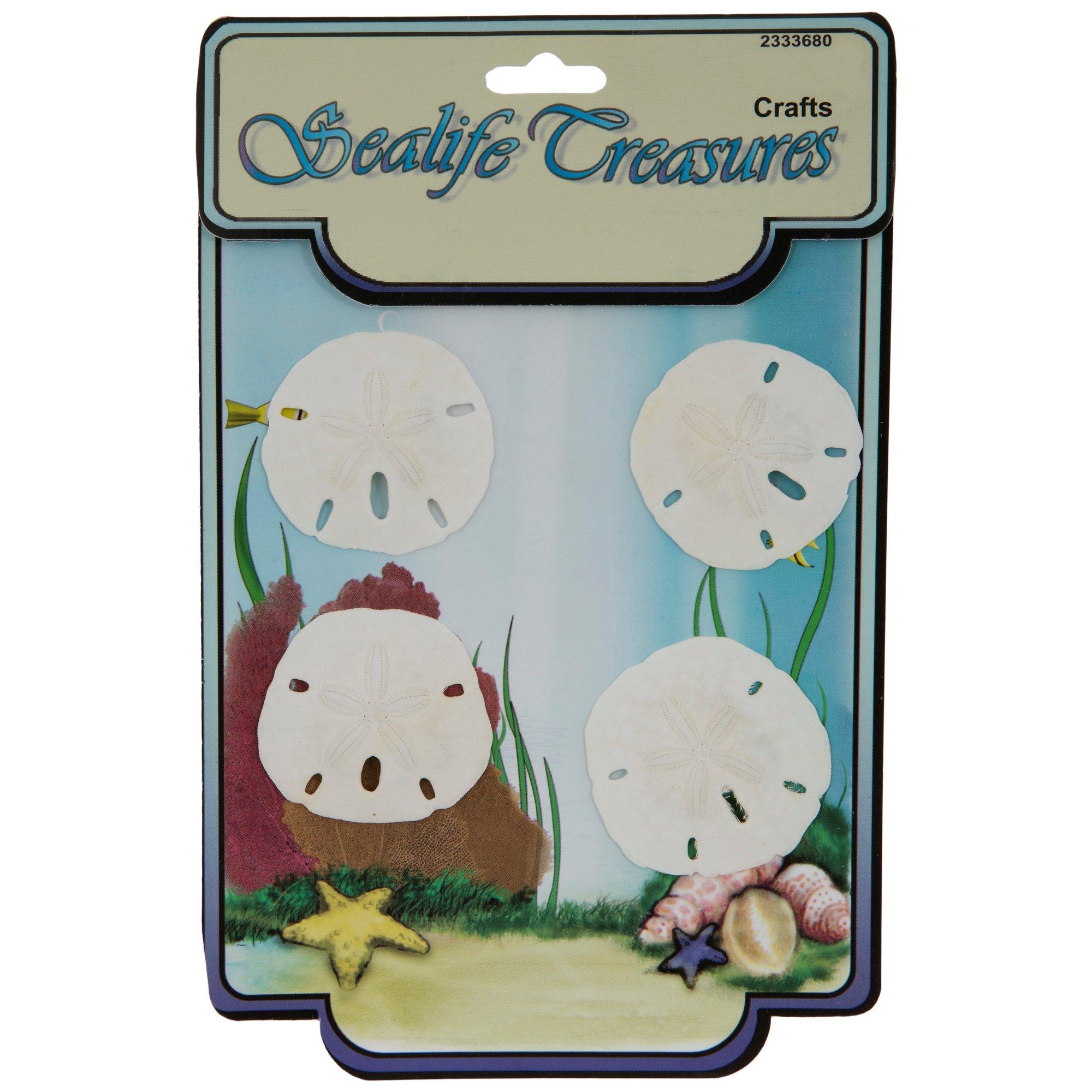 Craft Shells | Seashells, Starfish & Driftwood | Hobby Lobby