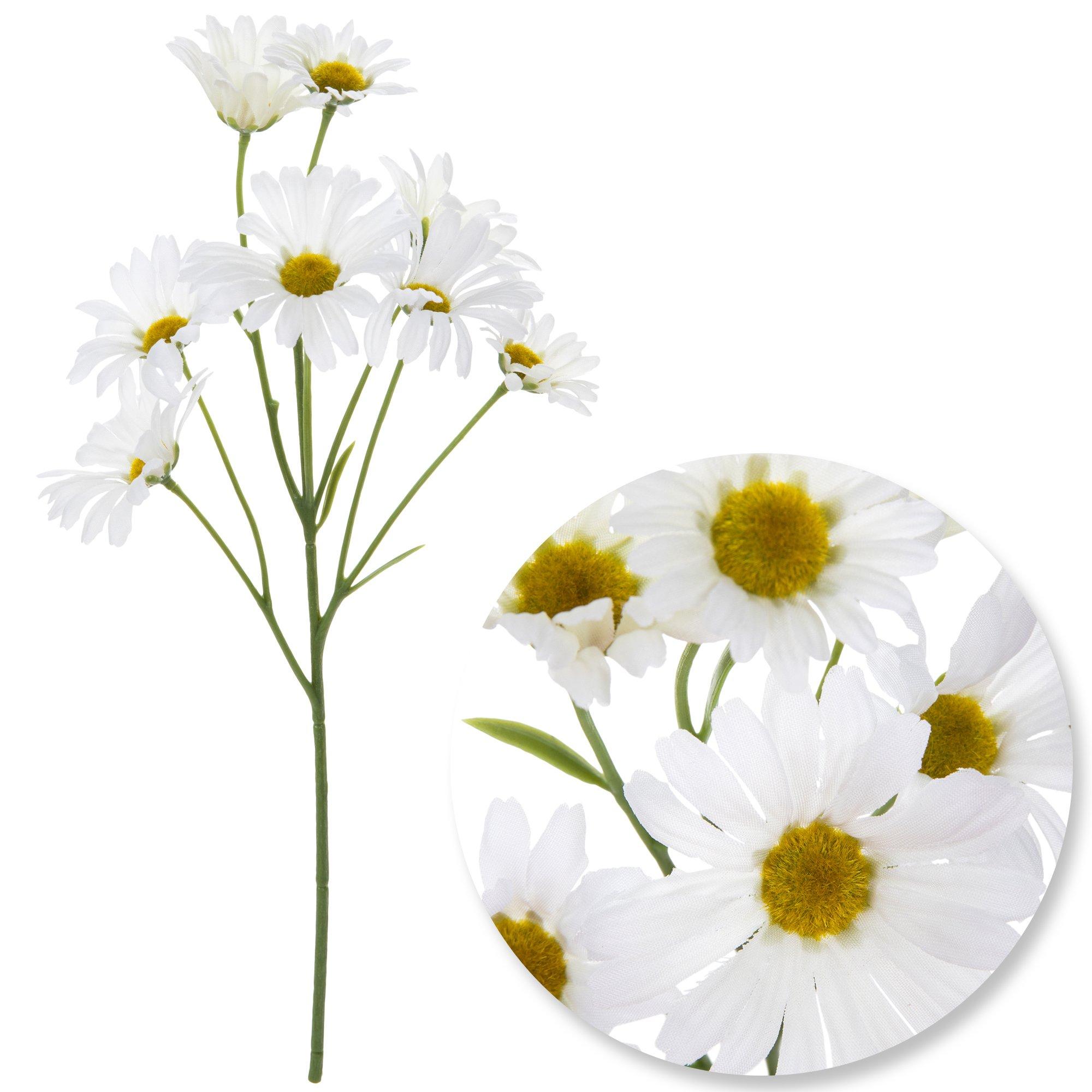 Daisy Pick | Hobby Lobby | 2349793