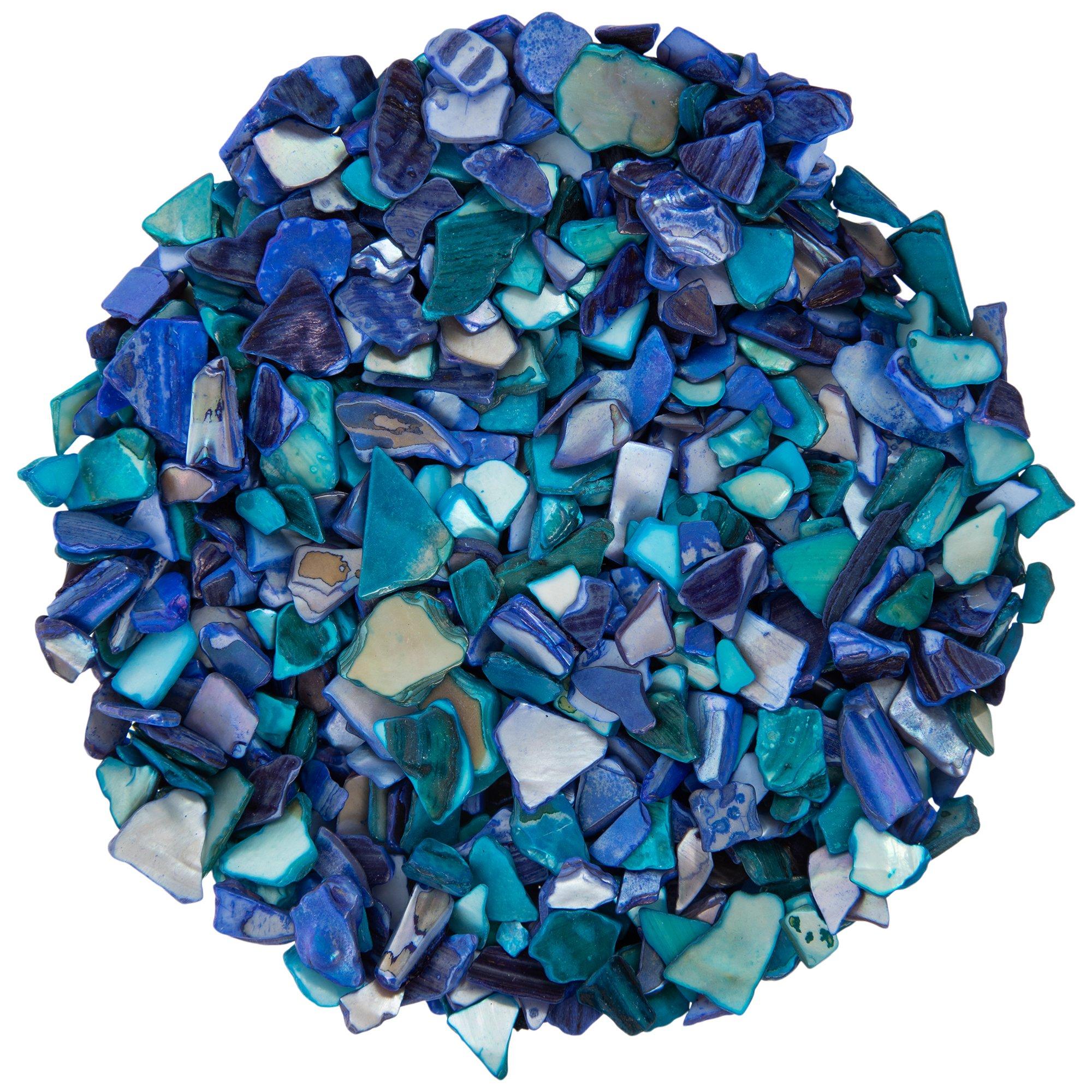 Blue Seashell Chips | Hobby Lobby | 2351021