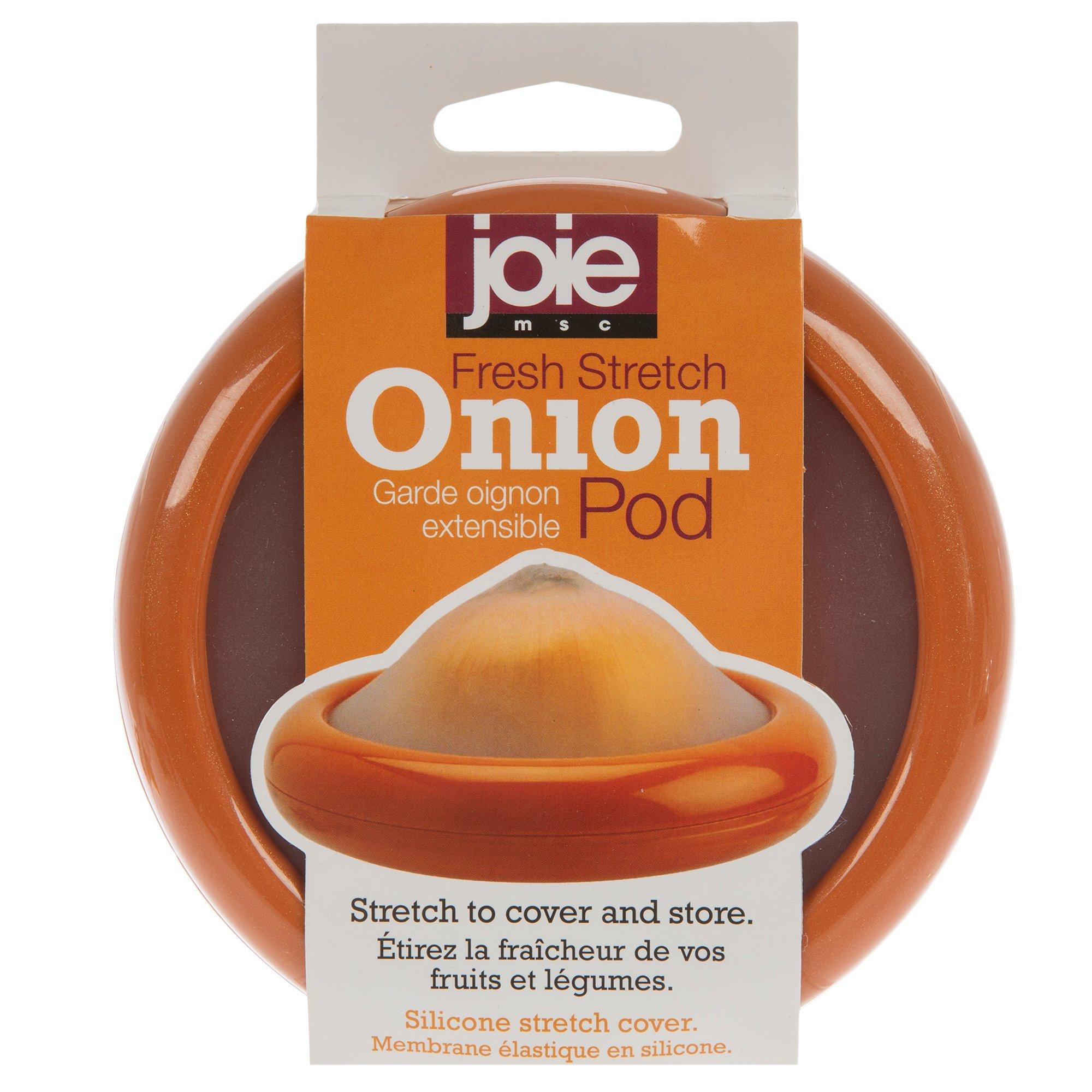 Onion Fresh Stretch Pod | Hobby Lobby | 2355030