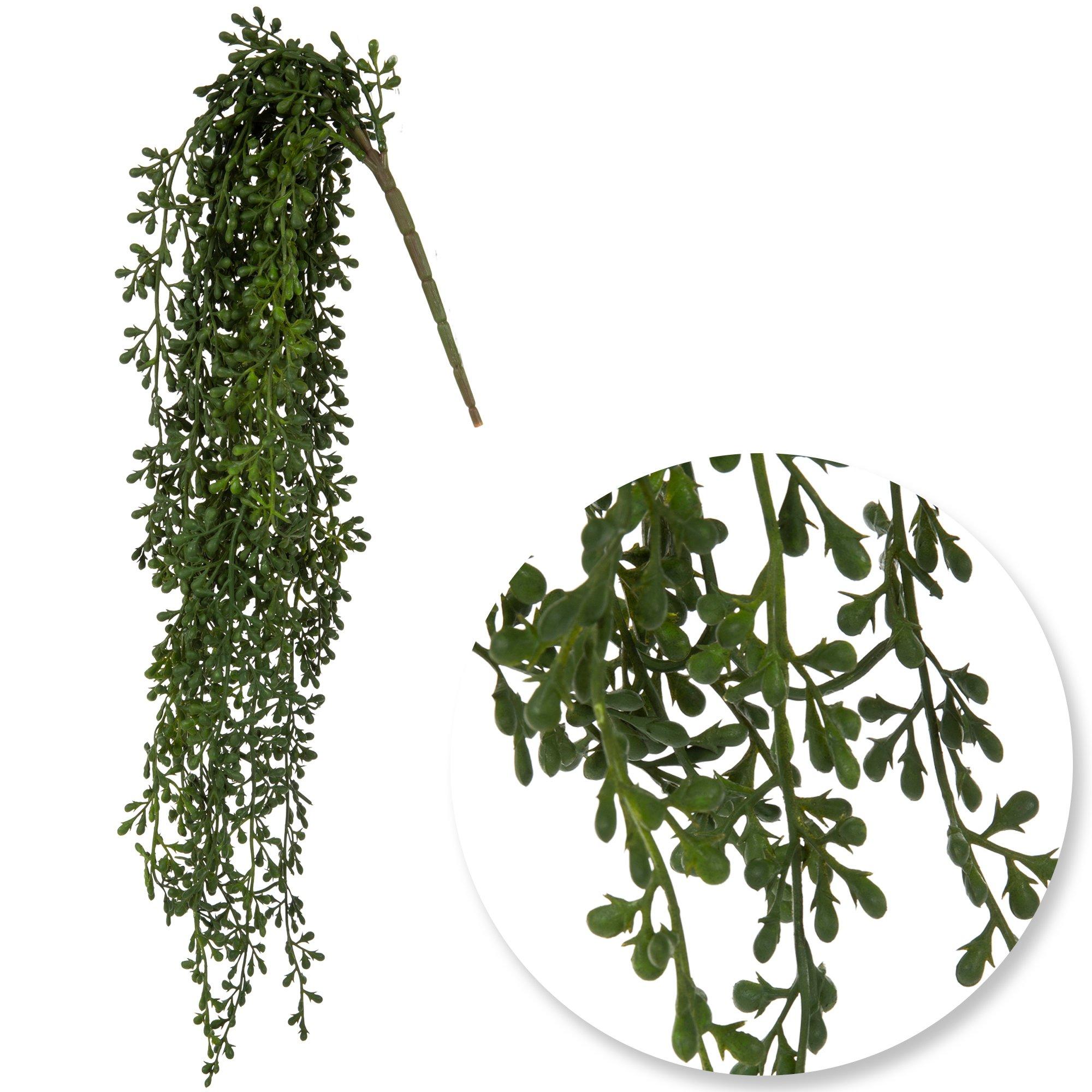 String Of Pearls Hanging Bush | Hobby Lobby | 2361210