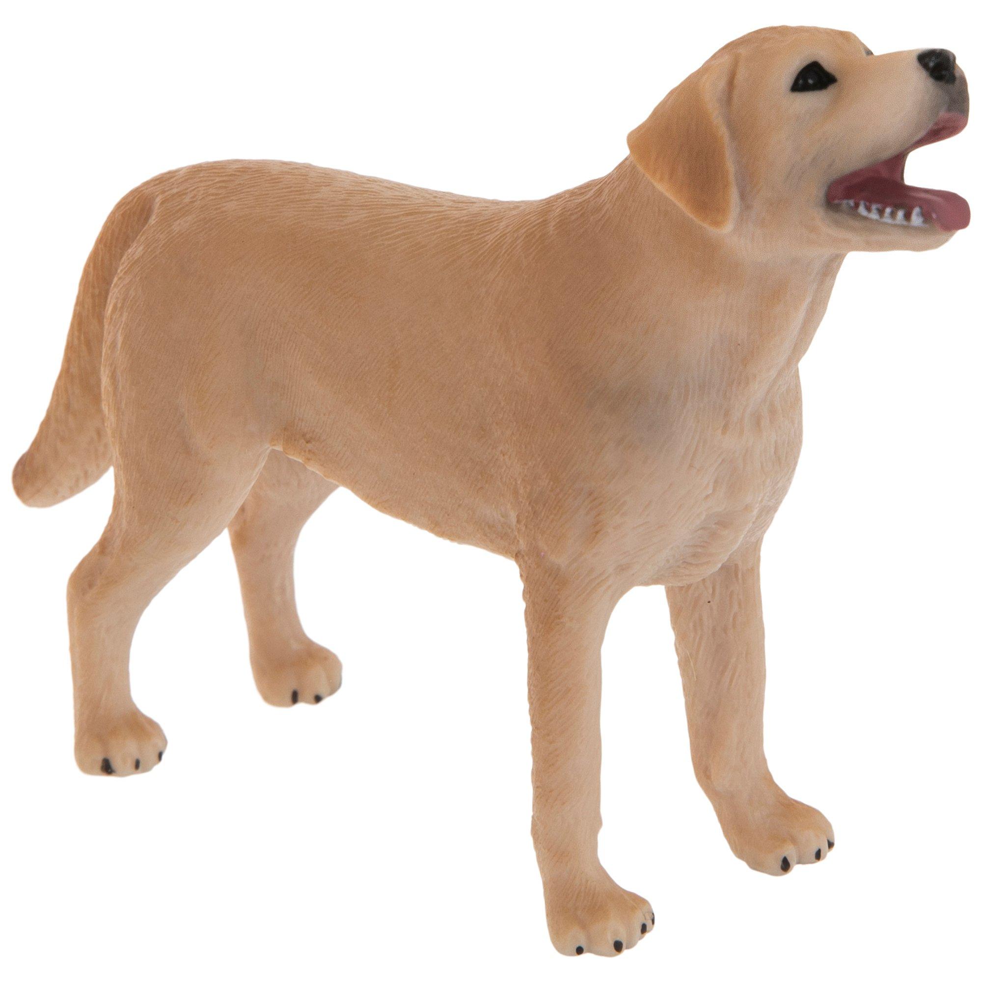 Labrador Dog | Hobby Lobby | 2381242