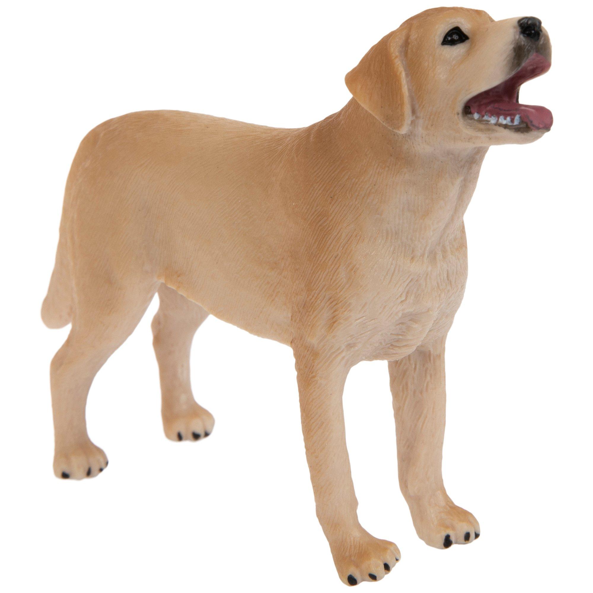 Labrador Dog | Hobby Lobby | 2381242