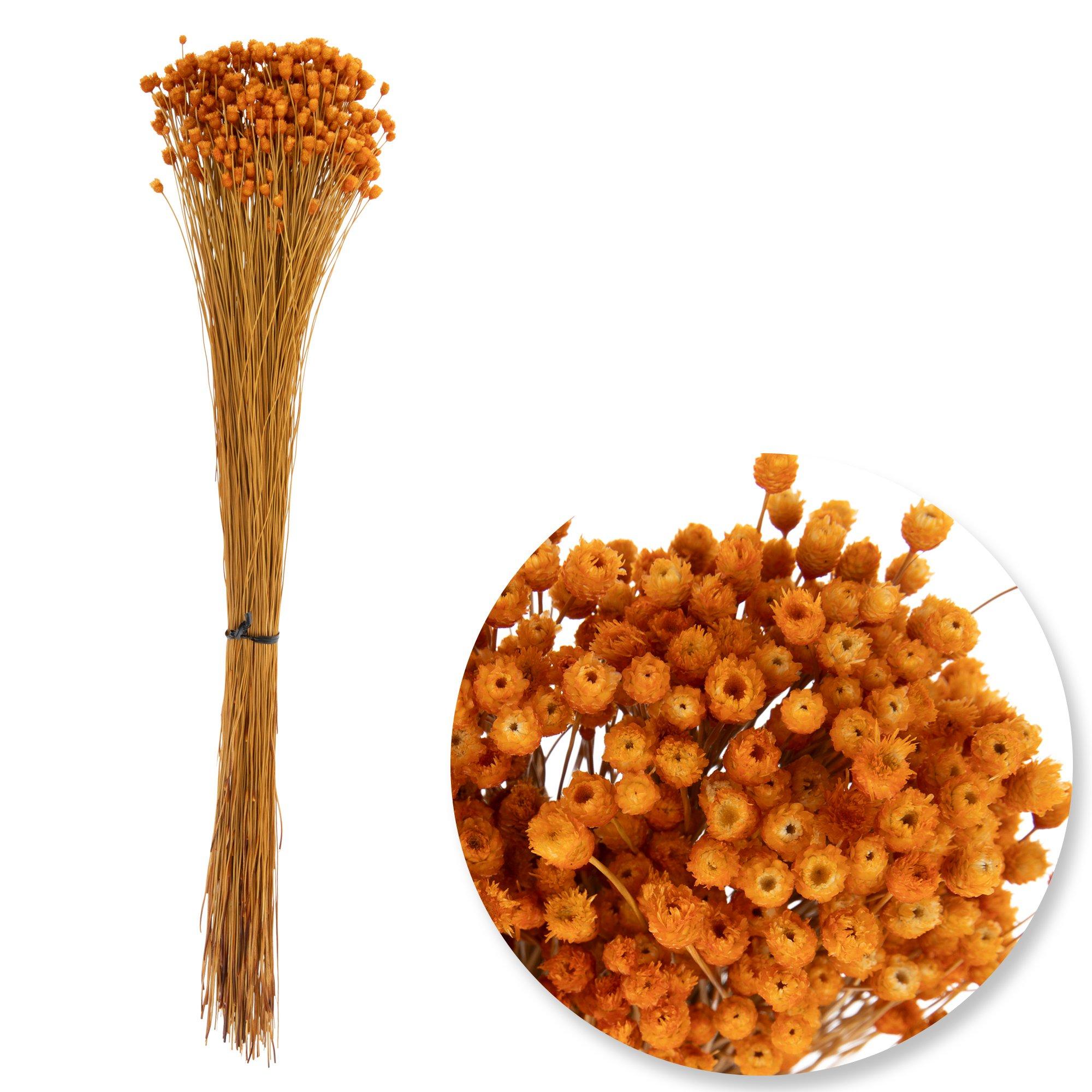 Dried Happy Flower Bundle | Hobby Lobby | 2381366