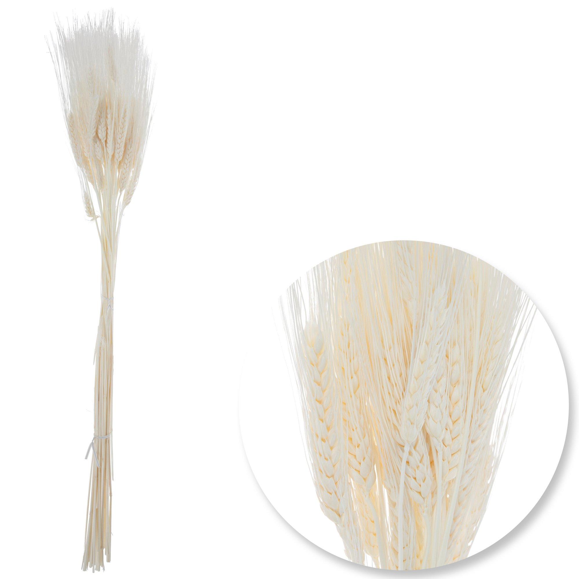 Bleached Wheat Bundle | Hobby Lobby | 2387900