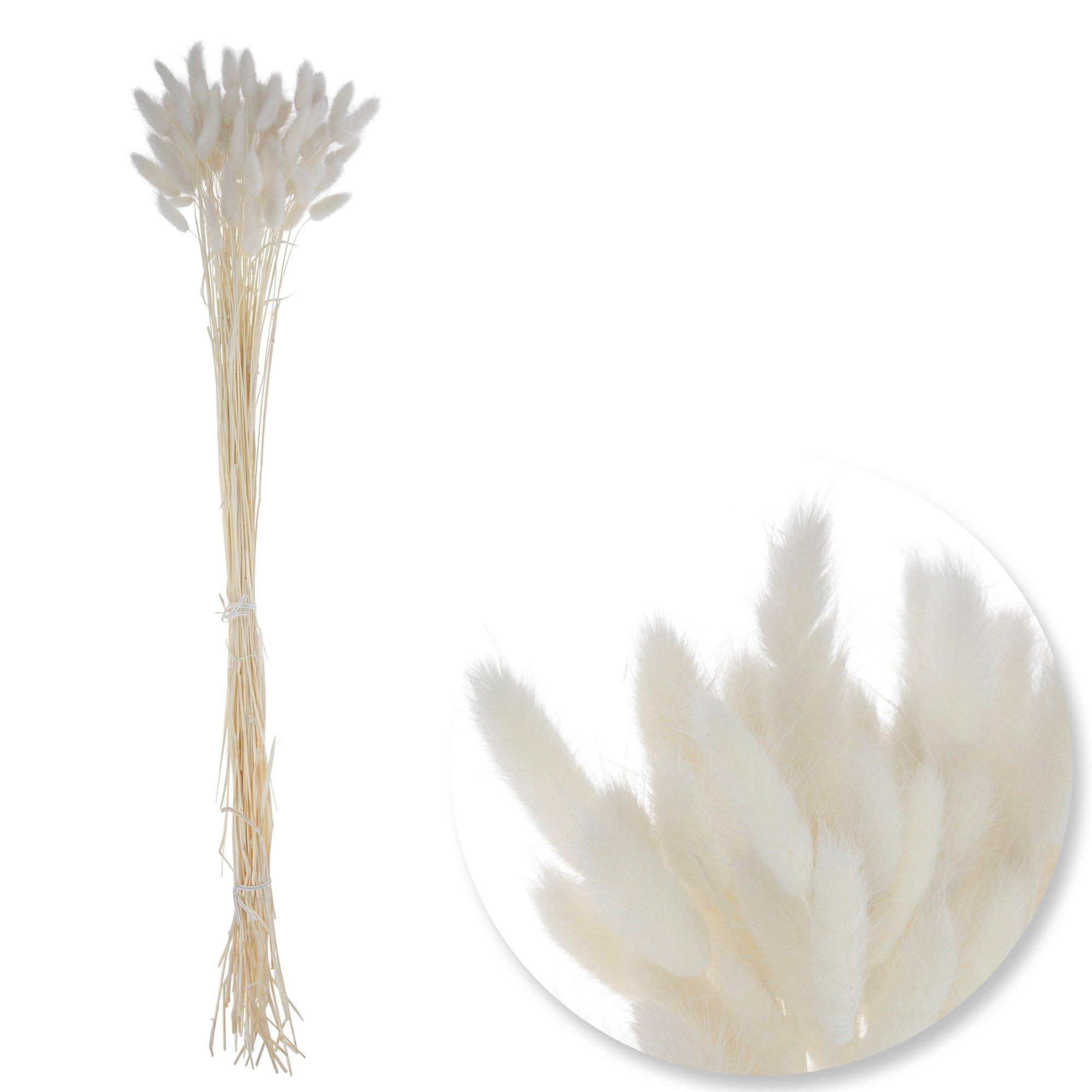 Bleached Bunny Tails Bundle | Hobby Lobby | 2387926