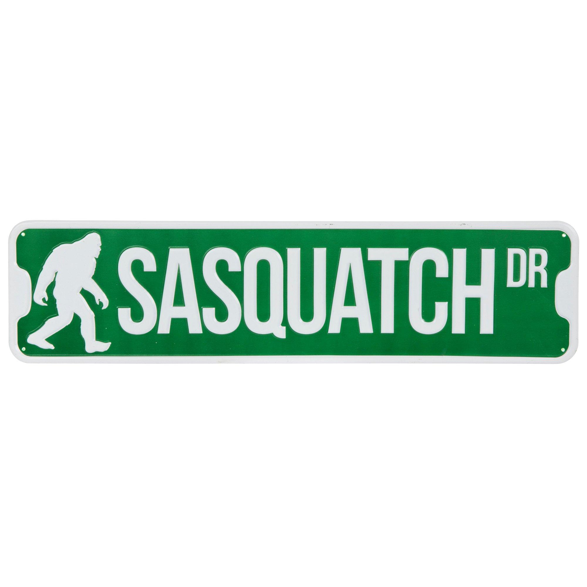 Sasquatch Drive Metal Sign | Hobby Lobby | 2408631