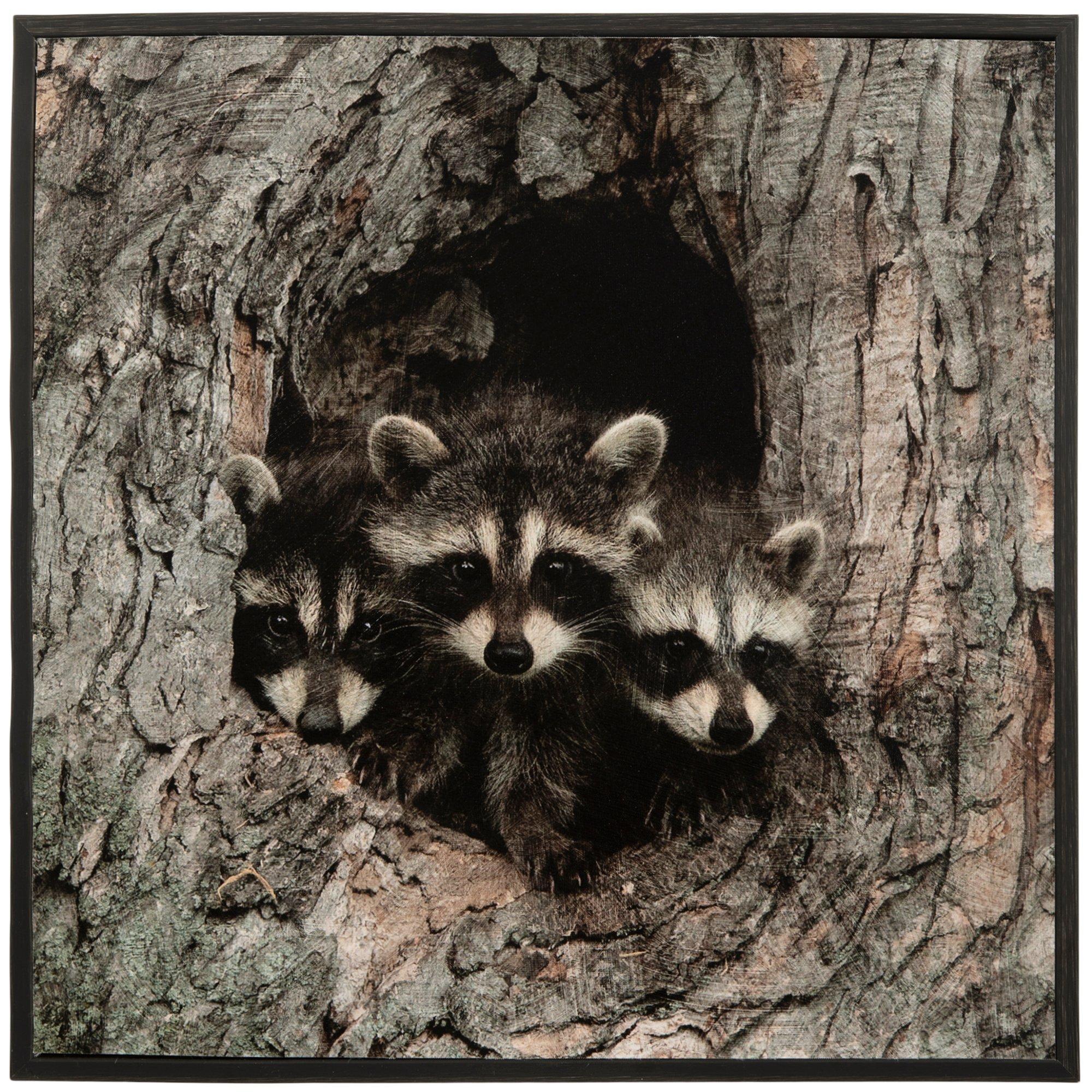 Raccoon Family Framed Wood Wall Decor | Hobby Lobby | 2413458