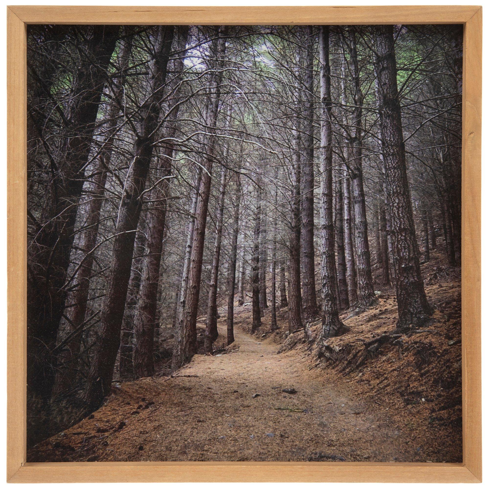 Forest Path Framed Wood Wall Decor | Hobby Lobby | 2413557