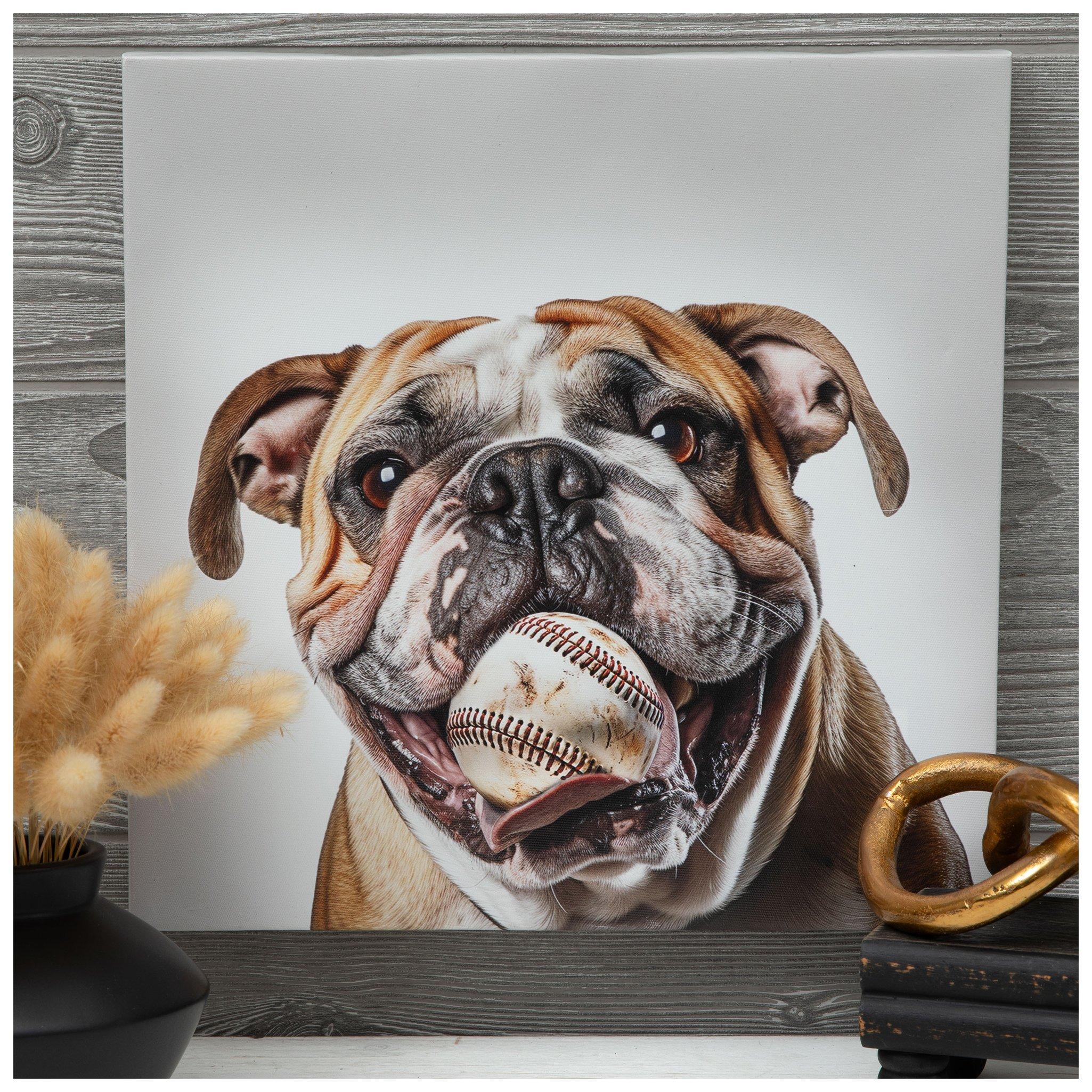 Baseball Dog Canvas Wall Decor | Hobby Lobby | 2431898