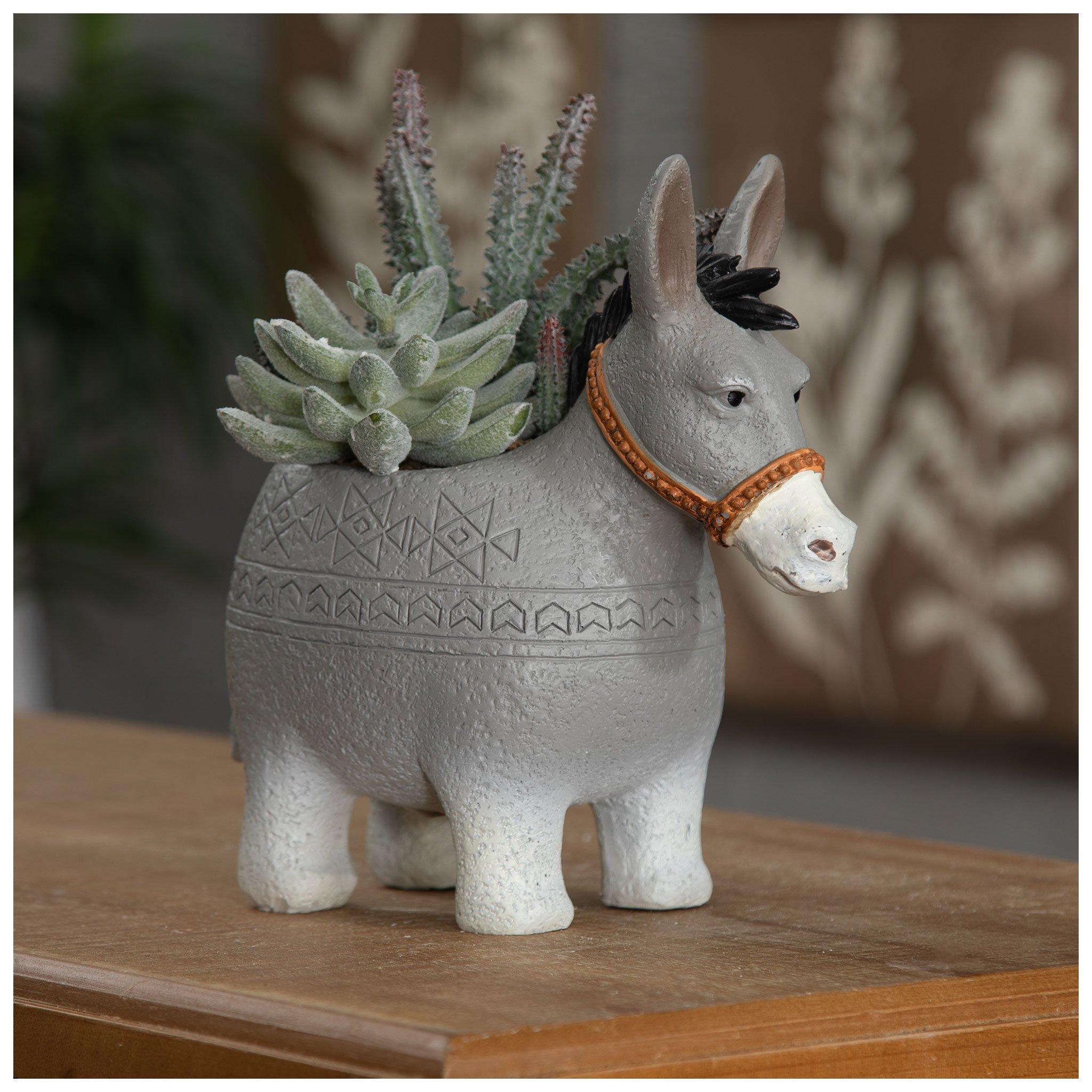 Donkey Pot With Succulents | Hobby Lobby | 2436061
