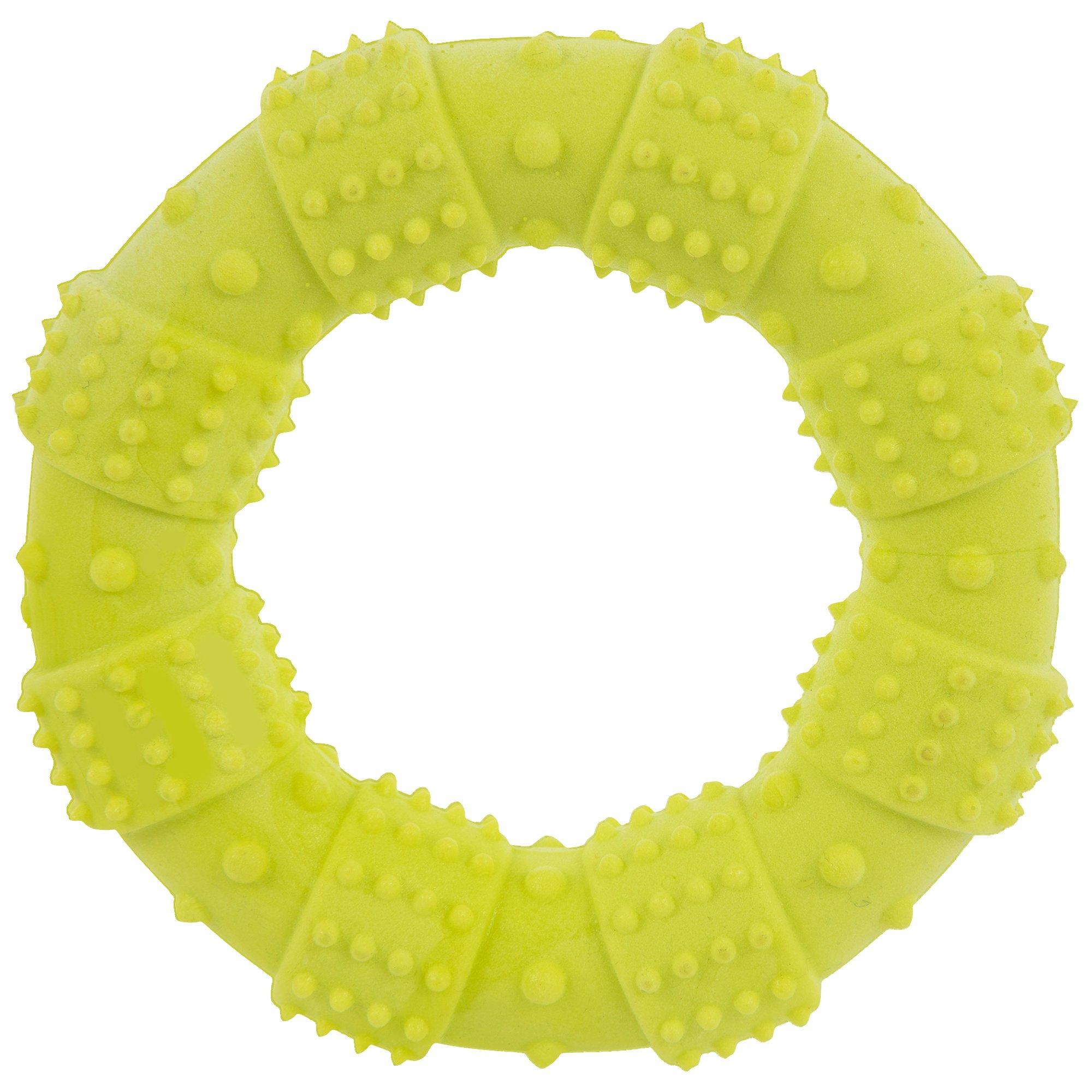 Green Textured Dog Toy Ring | Hobby Lobby | 2443174
