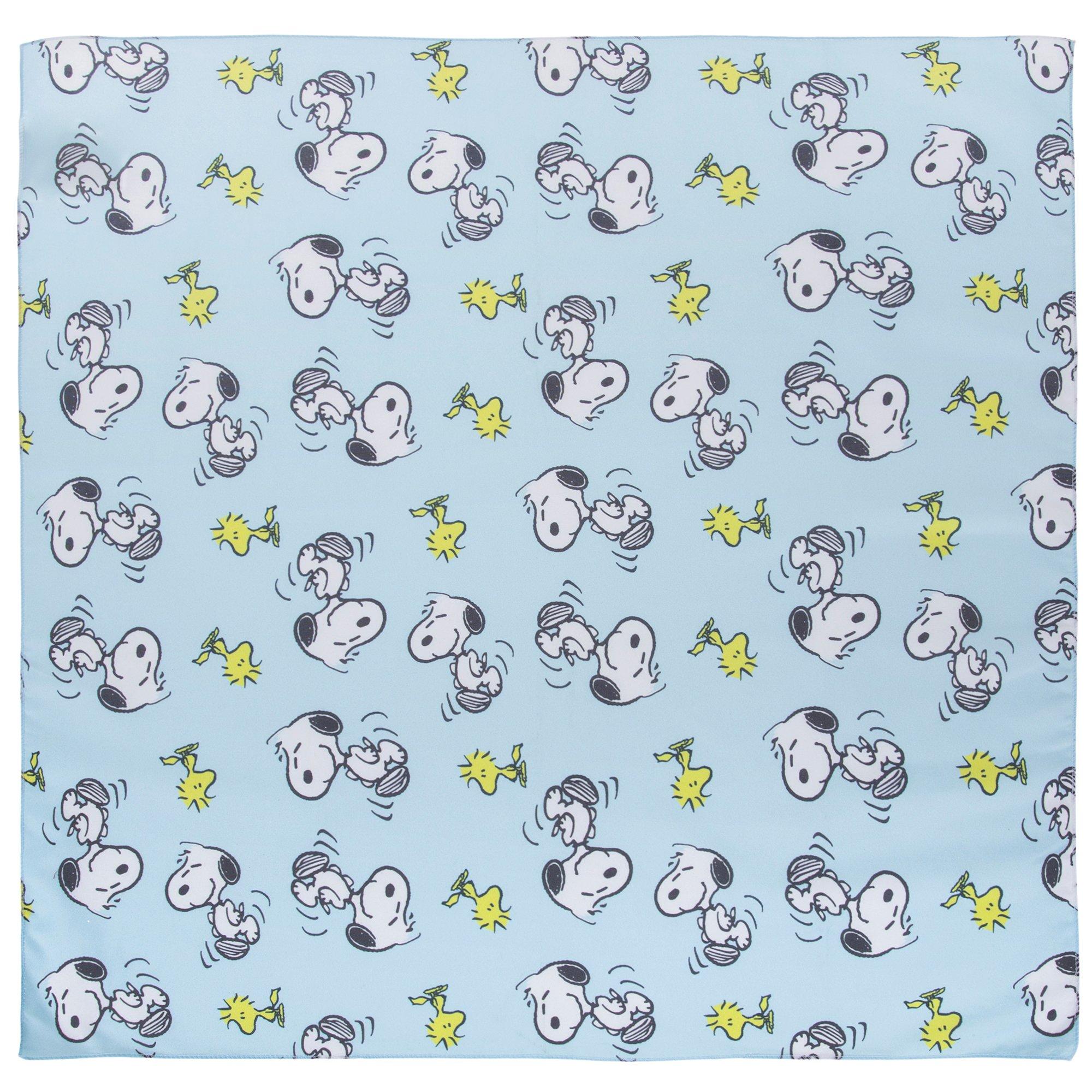 Snoopy & Woodstock Bandana | Hobby Lobby | 2449734