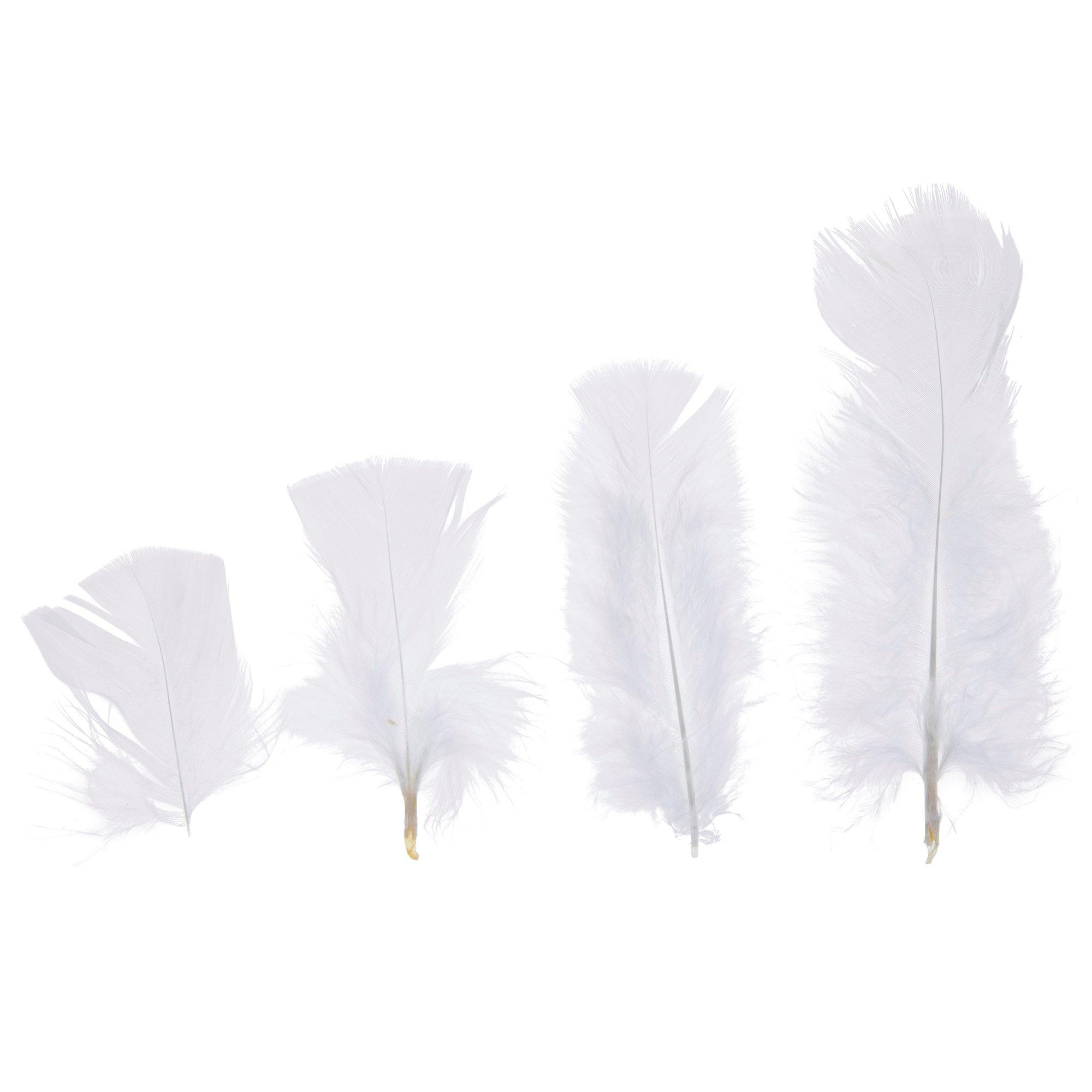 Feather Fluff | Hobby Lobby | 245720