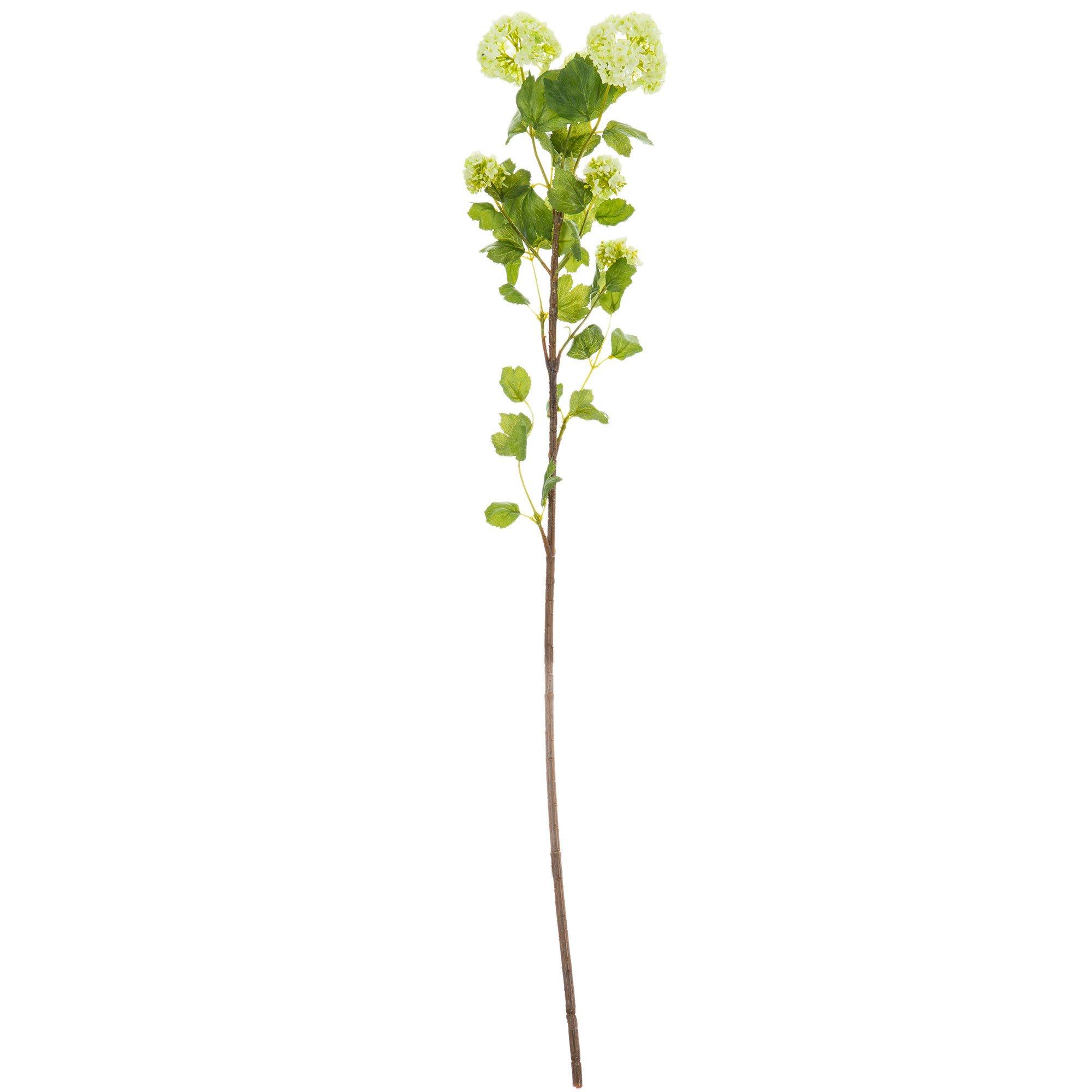 Light Green Snowball Branch | Hobby Lobby | 246652