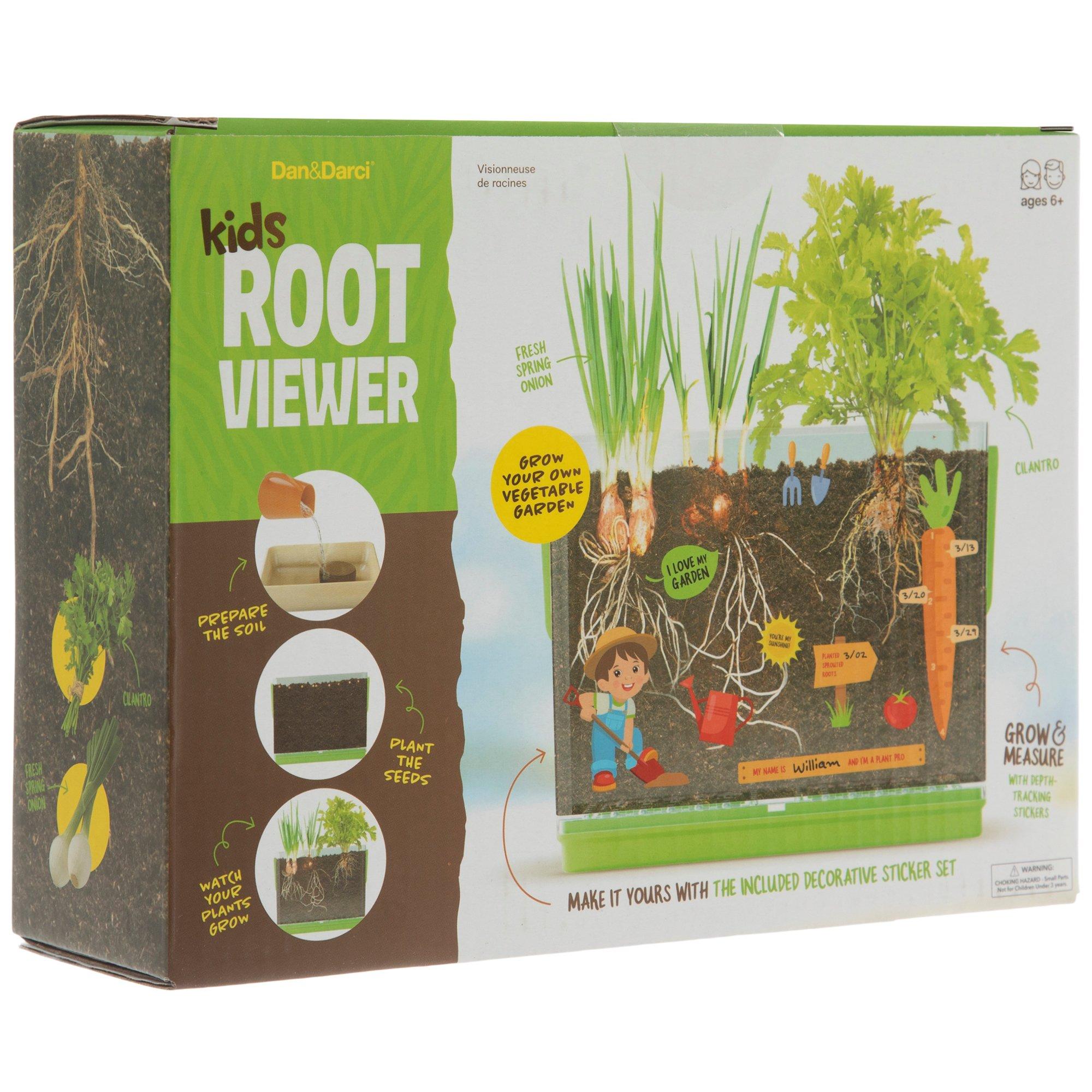 Root Viewer Growing Kit | Hobby Lobby | 2467819