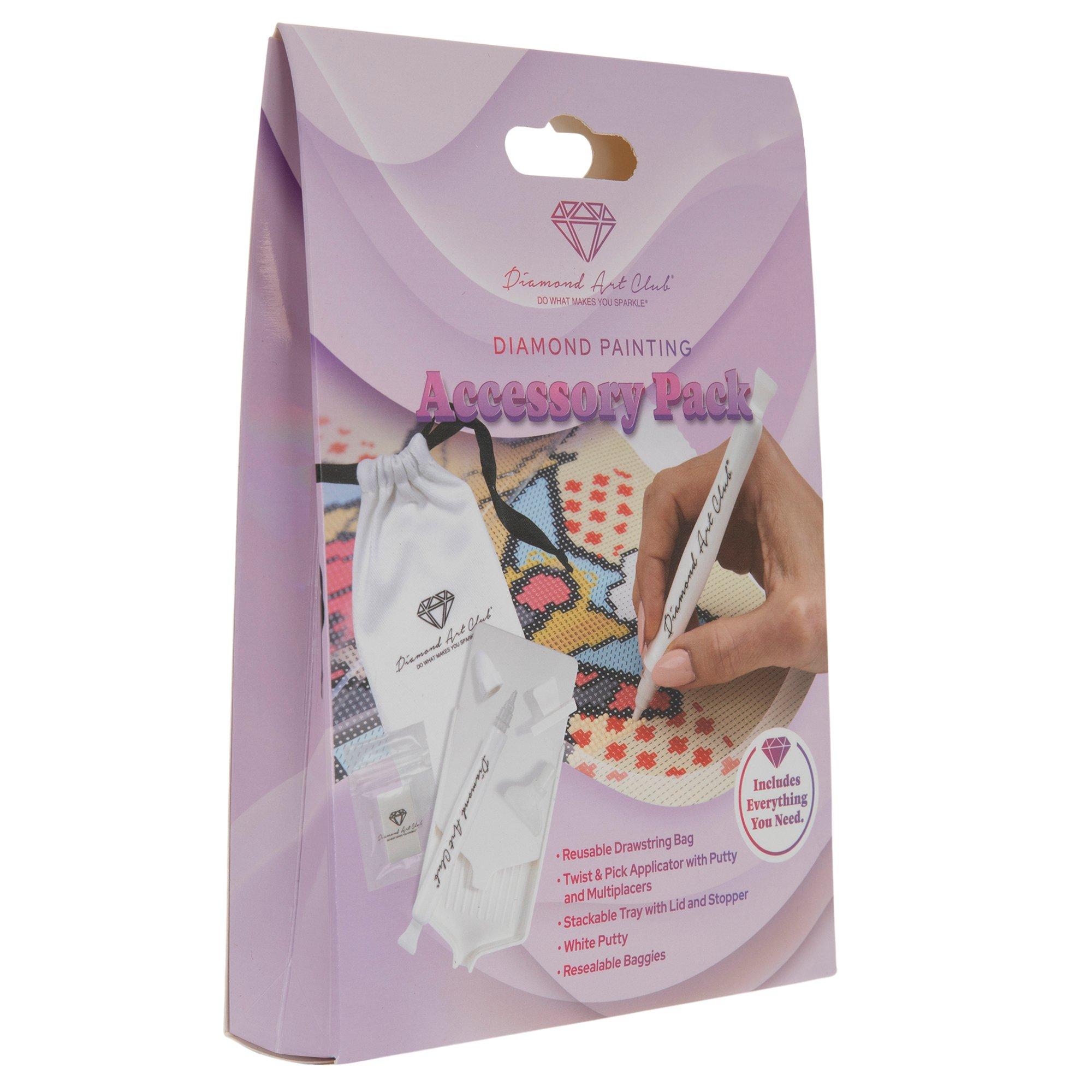 Diamond Art Accessory Kit | Hobby Lobby | 2487965