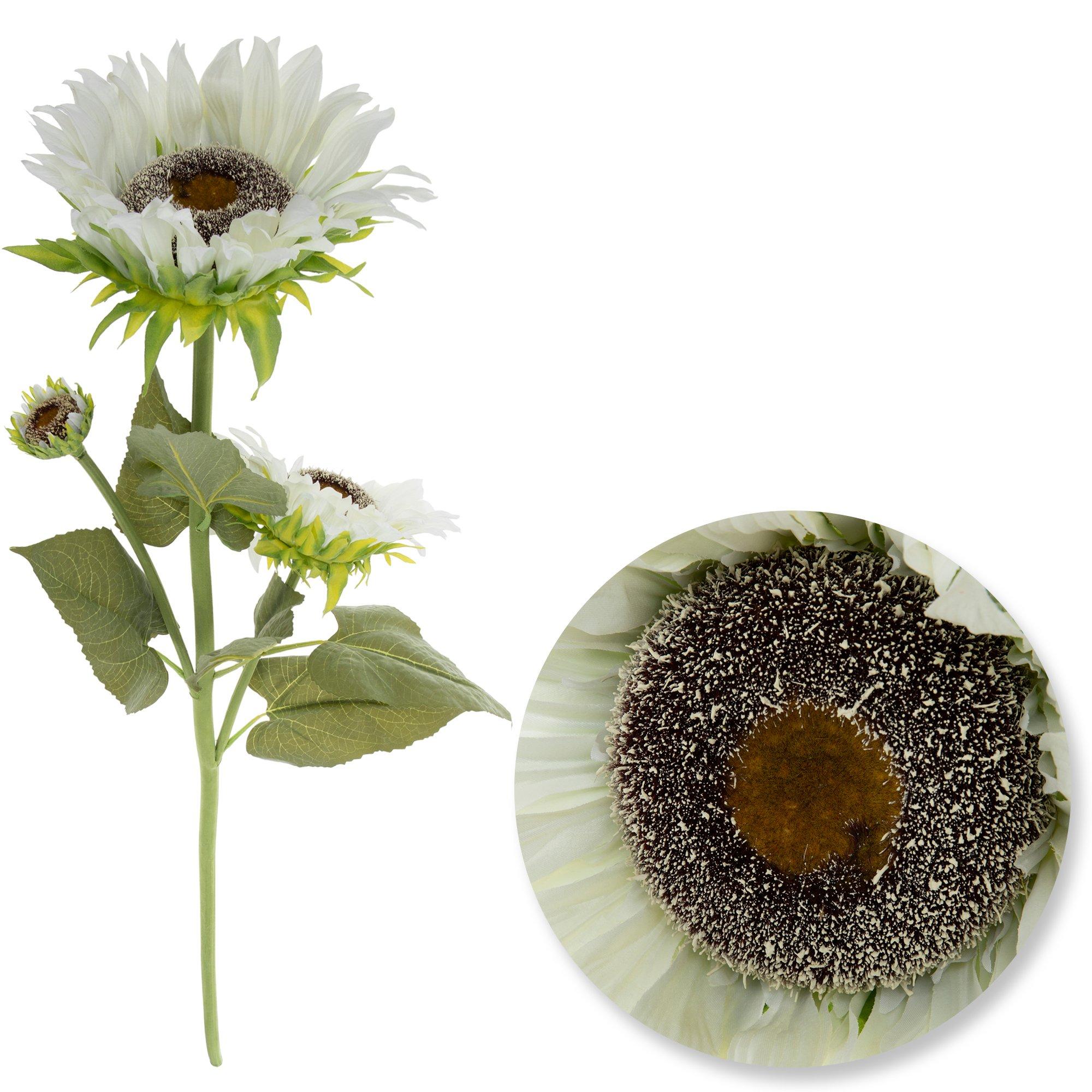 Giant White Sunflower Stem | Hobby Lobby | 2493153